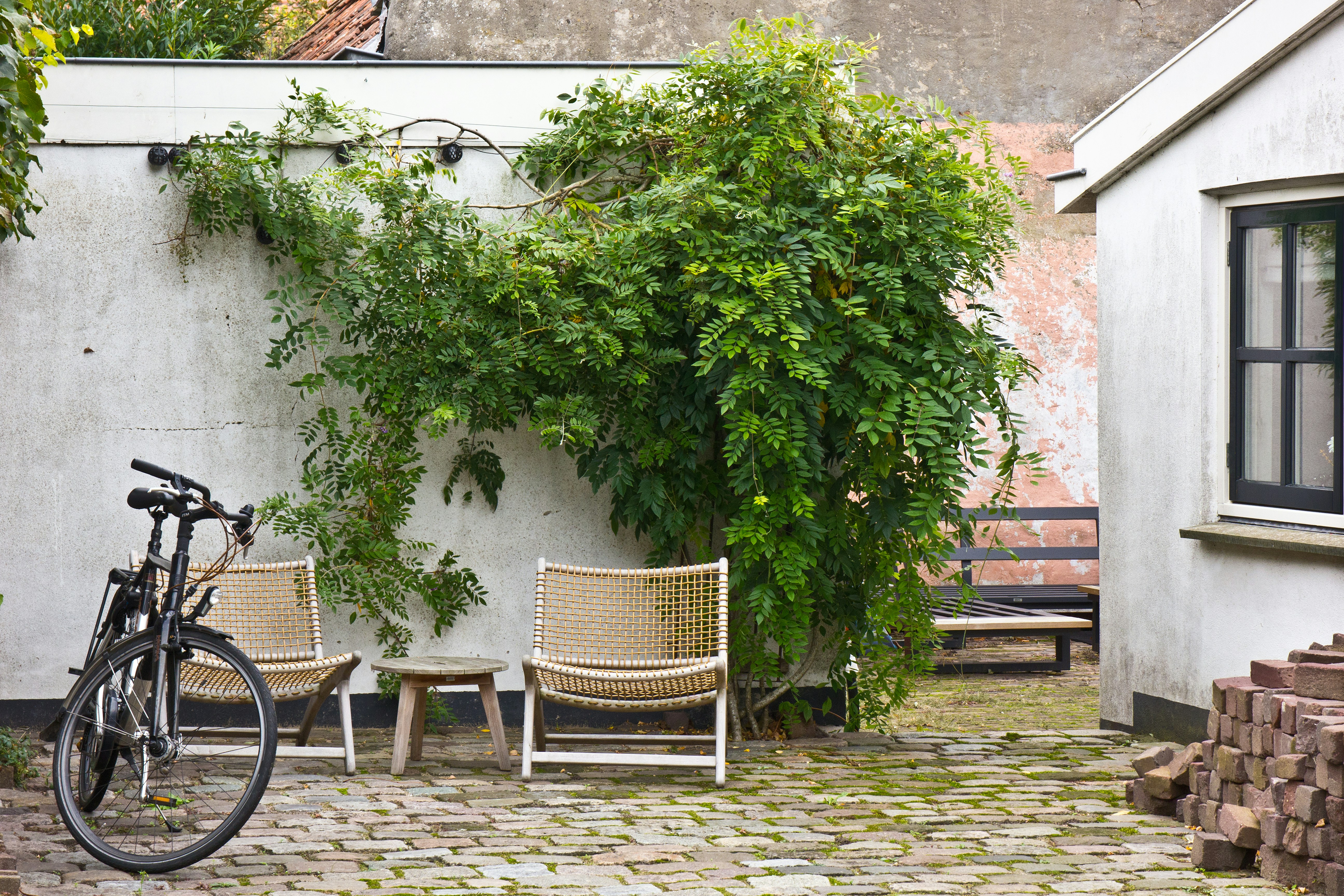 Courtyard with chairs, bicycle, and overgrown greenery