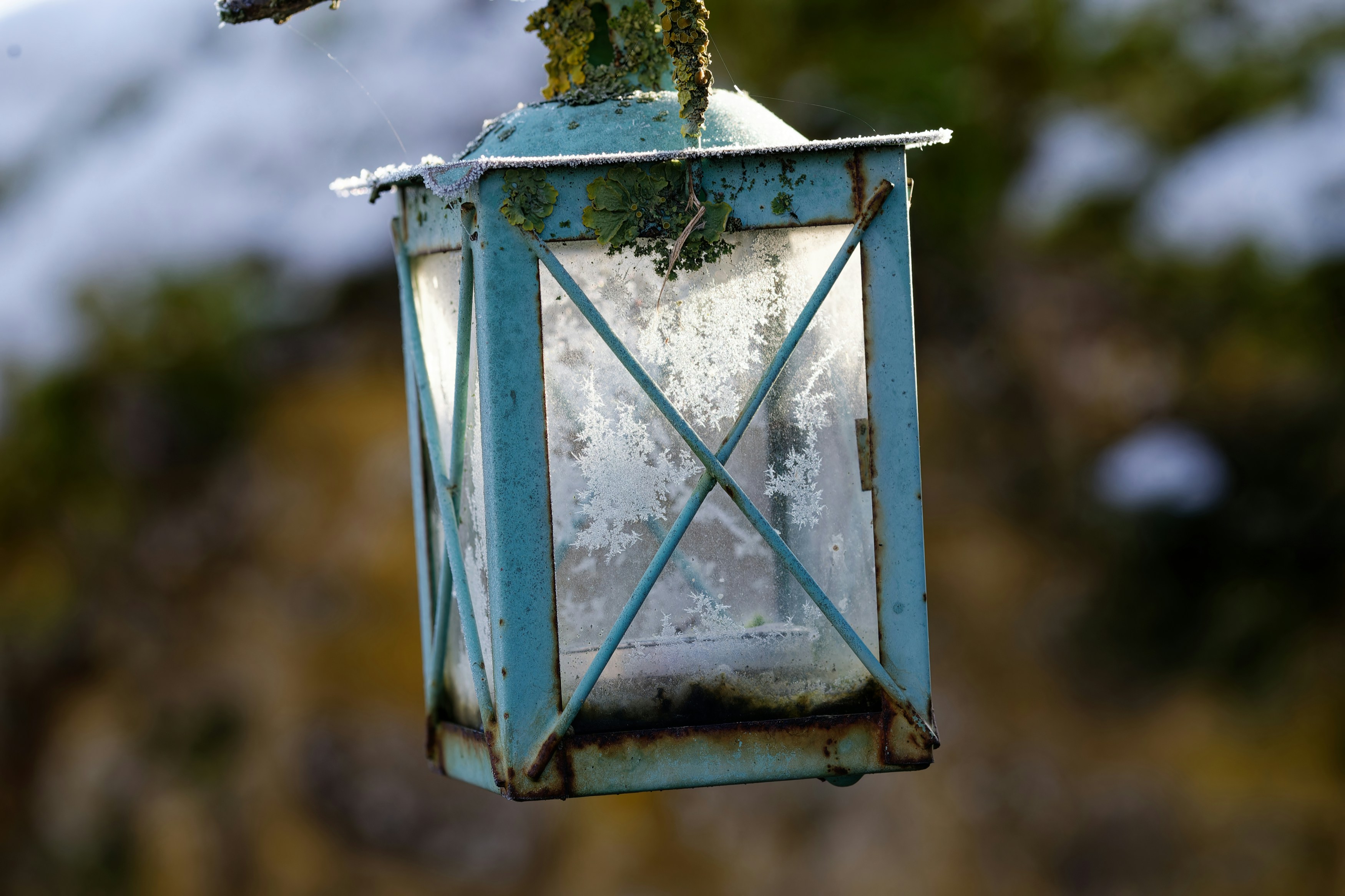 Close up of a blue lantern hanging in a tree with hoarfrost | An old lantern hangs outdoors in winter.