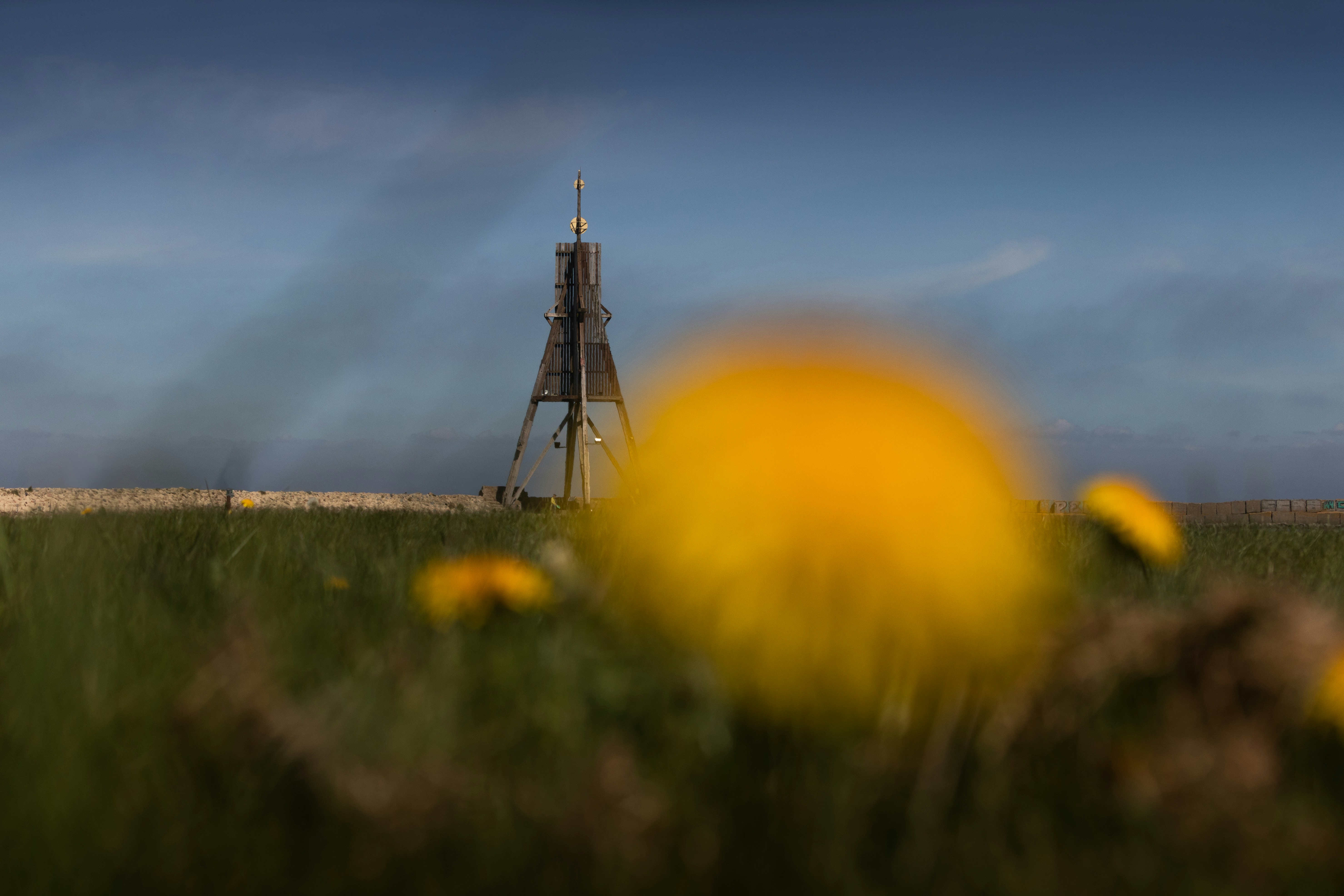 Whispers of the Past: The Tower Among Dandelions