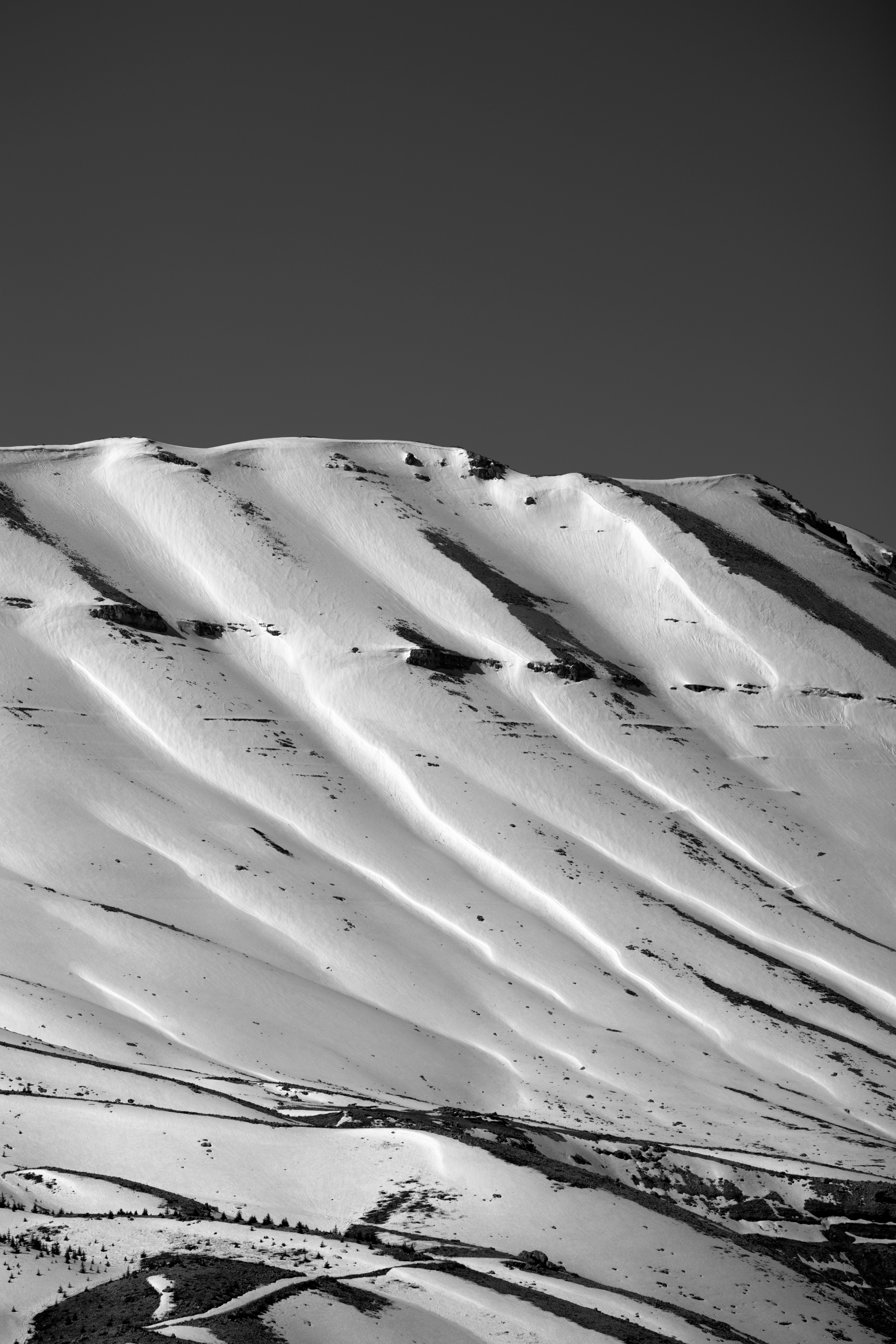 Whispers of Winter's Embrace