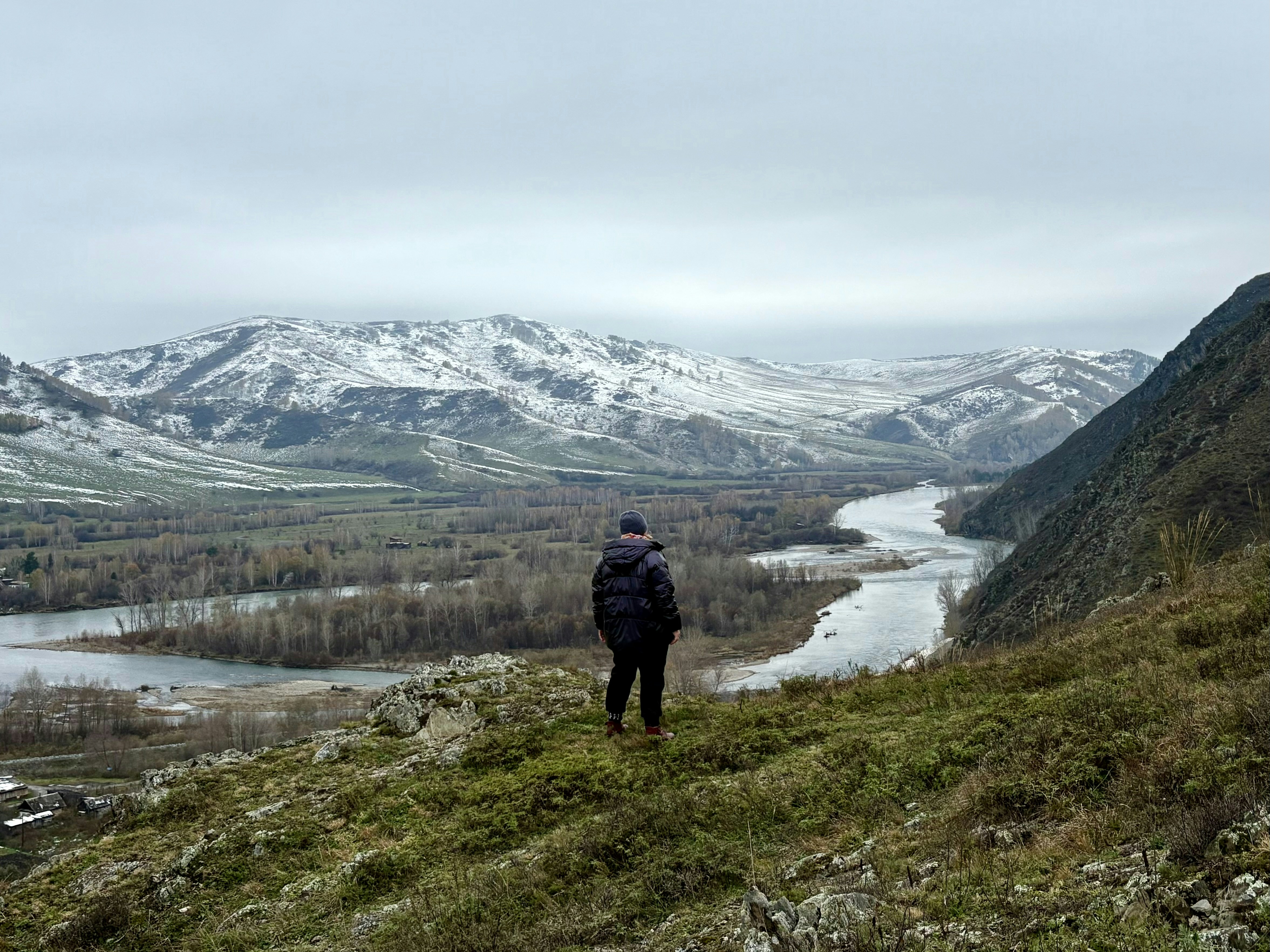 Journey Through the Serene Wilderness
