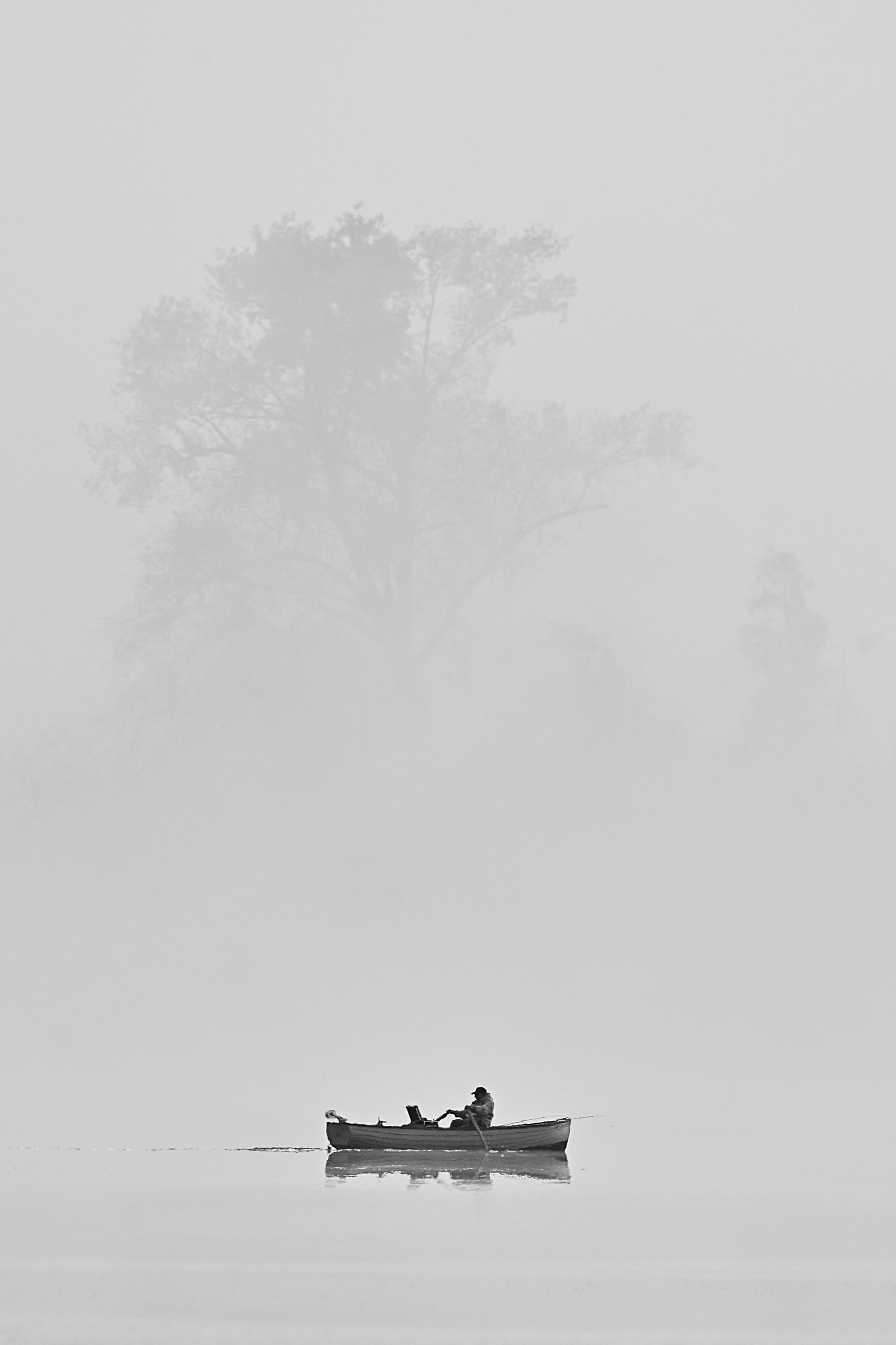 Navigating the Veil of Mist