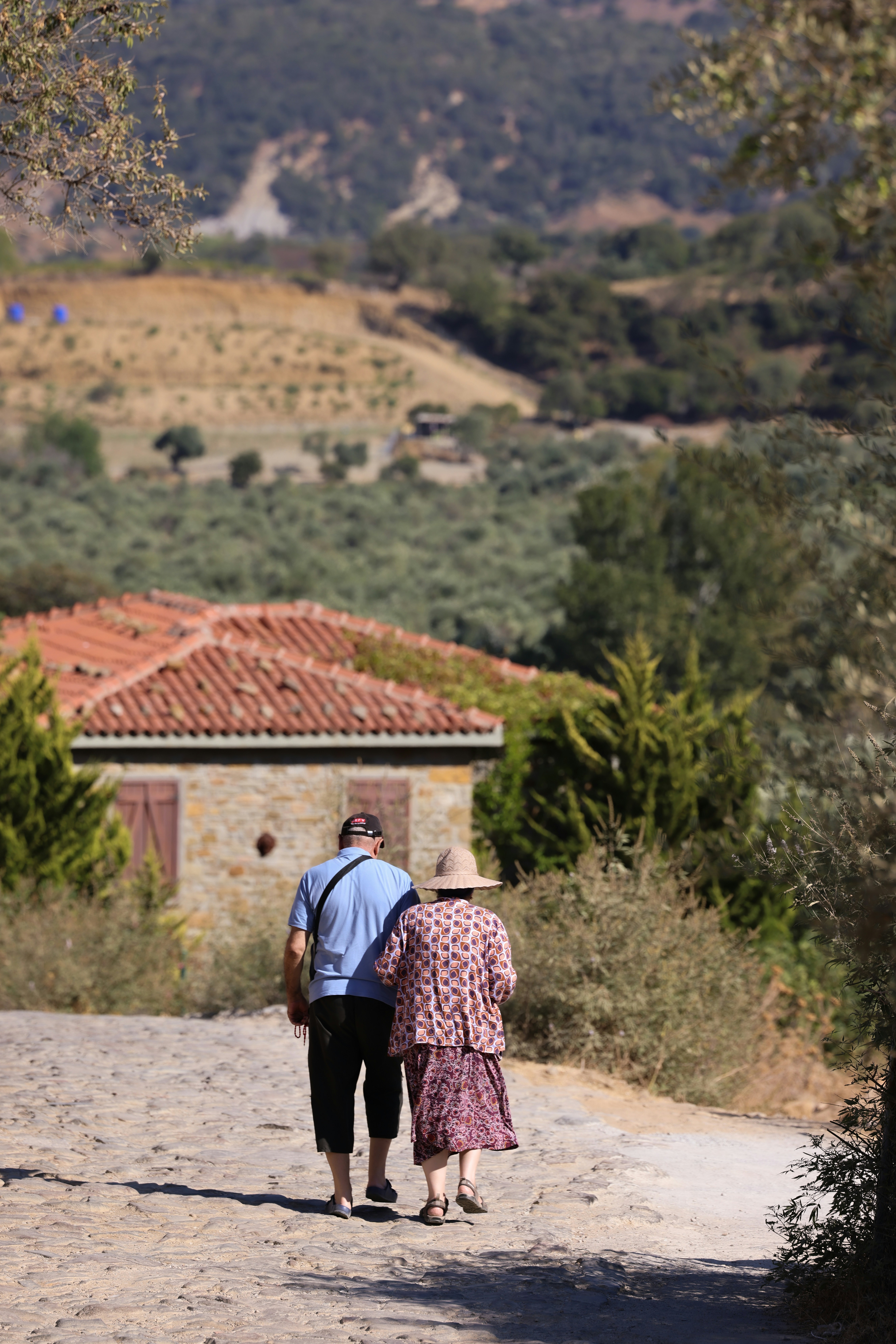 A Stroll Through Timeless Landscapes