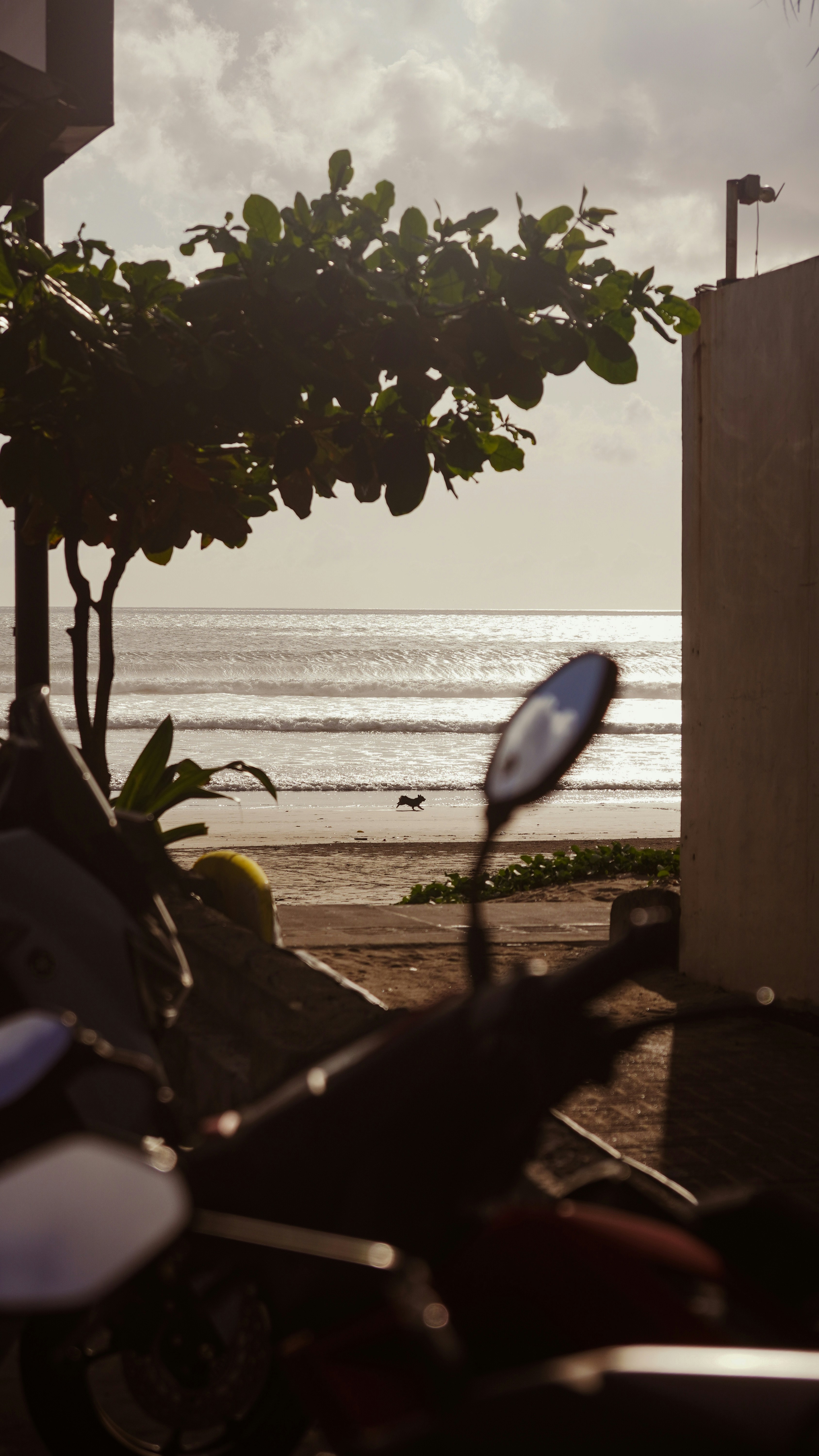 A Serene Coastal Moment Amidst Urban Life