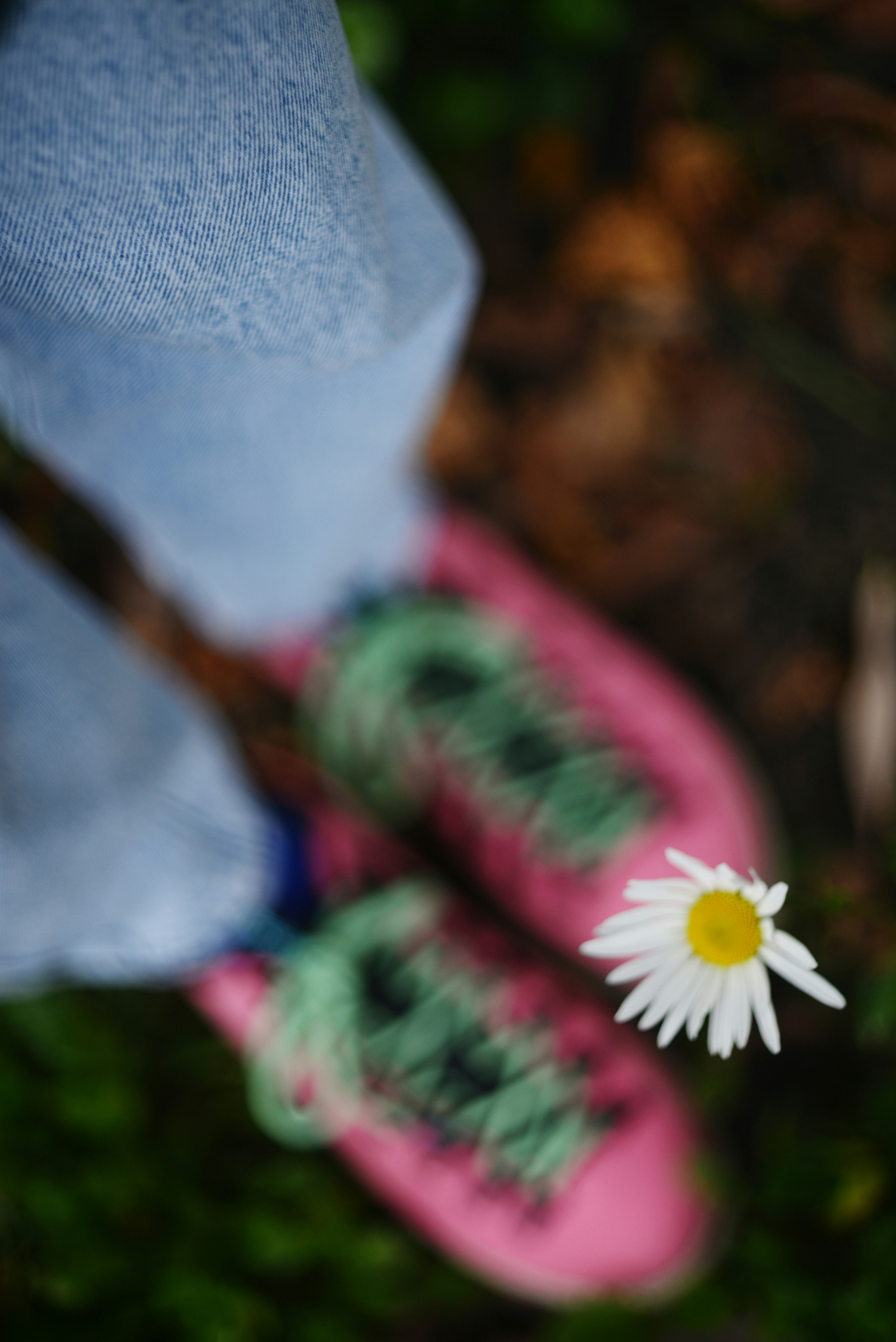 Whimsical Steps Among Nature's Touch