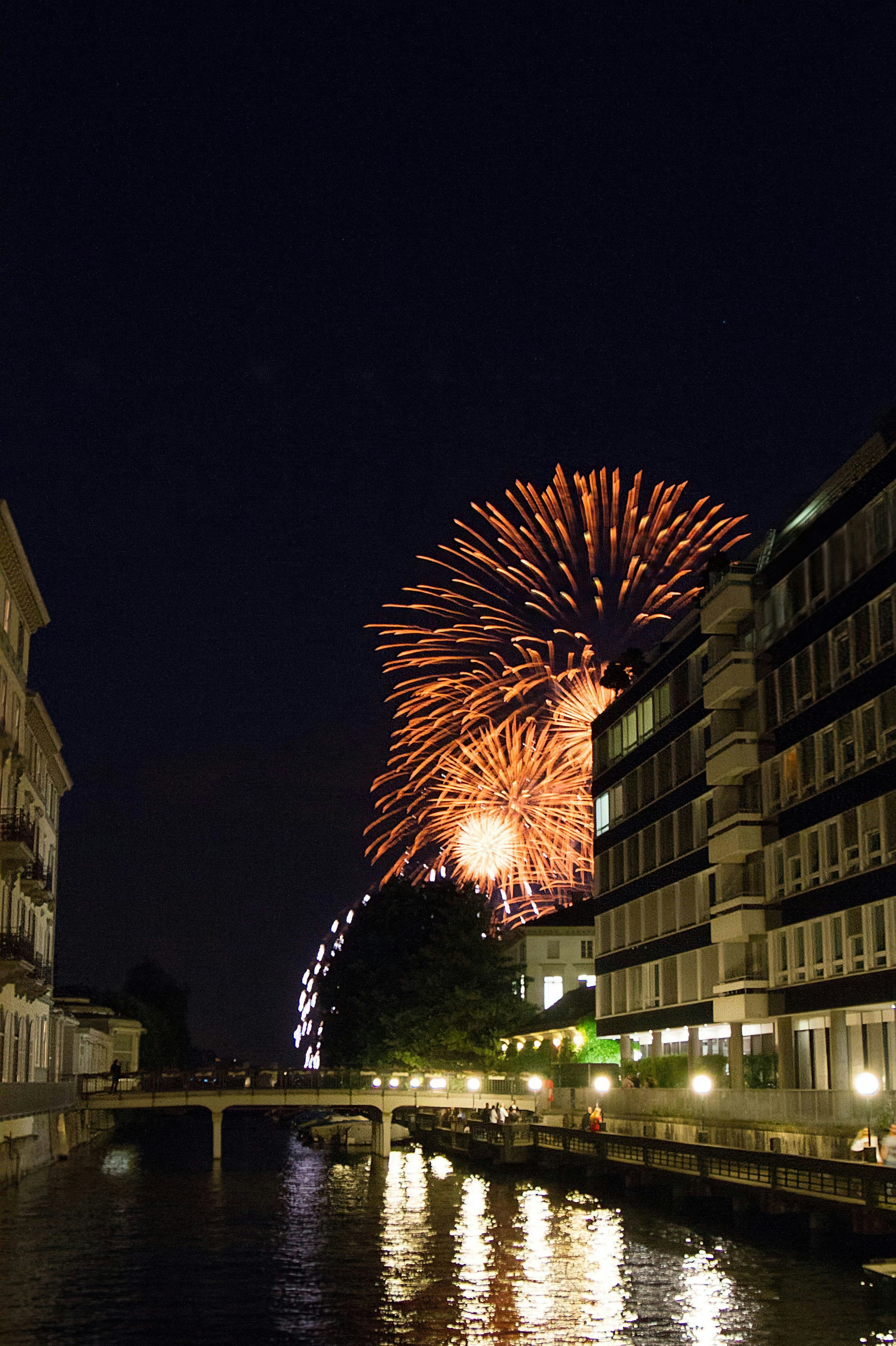 Night Bloom: Fireworks over a Riverside Cityscape