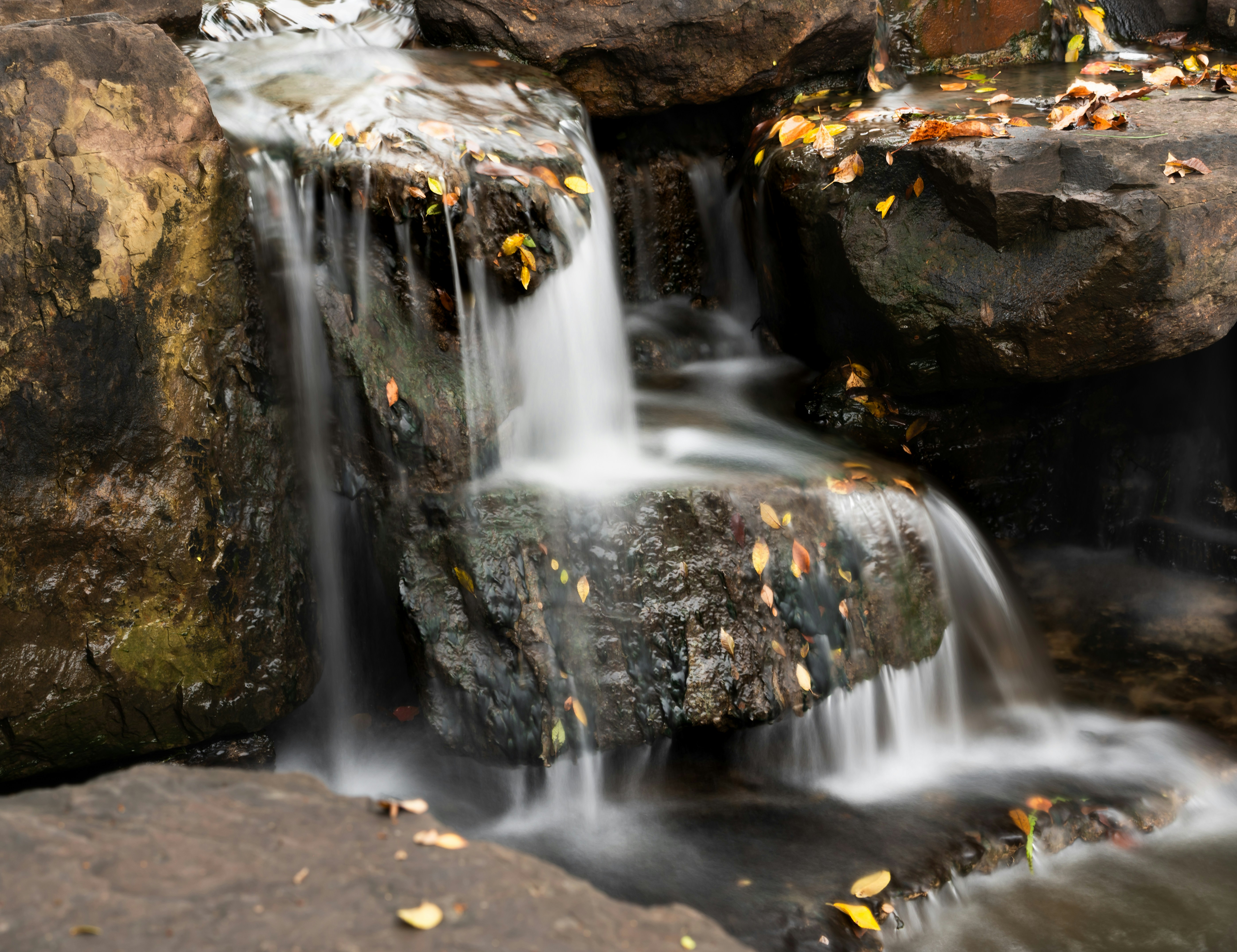 Gentle waterfall cascading over moss-covered rocks, surrounded by autumn leaves. The serene flow creates a tranquil atmosphere.