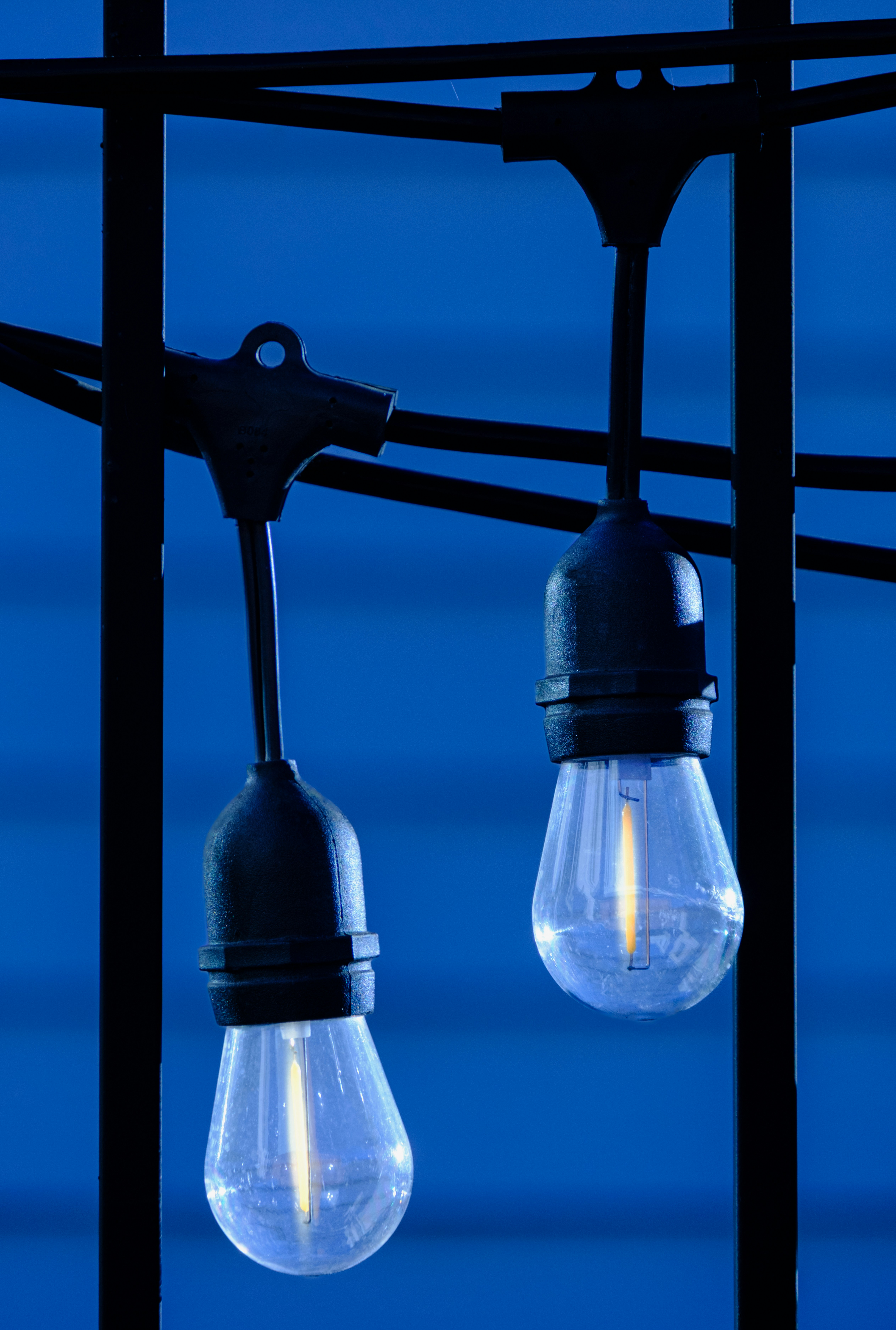 Two outdoor bulbs | Two string lights hang against a blue background