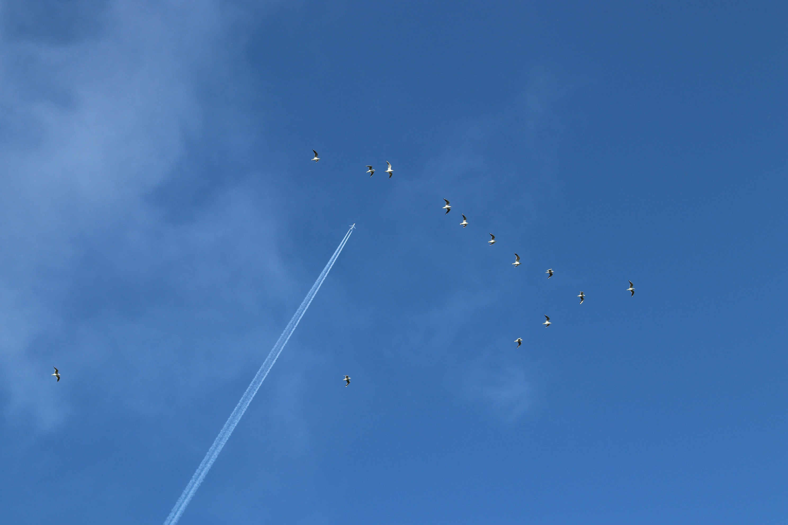 Planes flying in formation across a blue sky