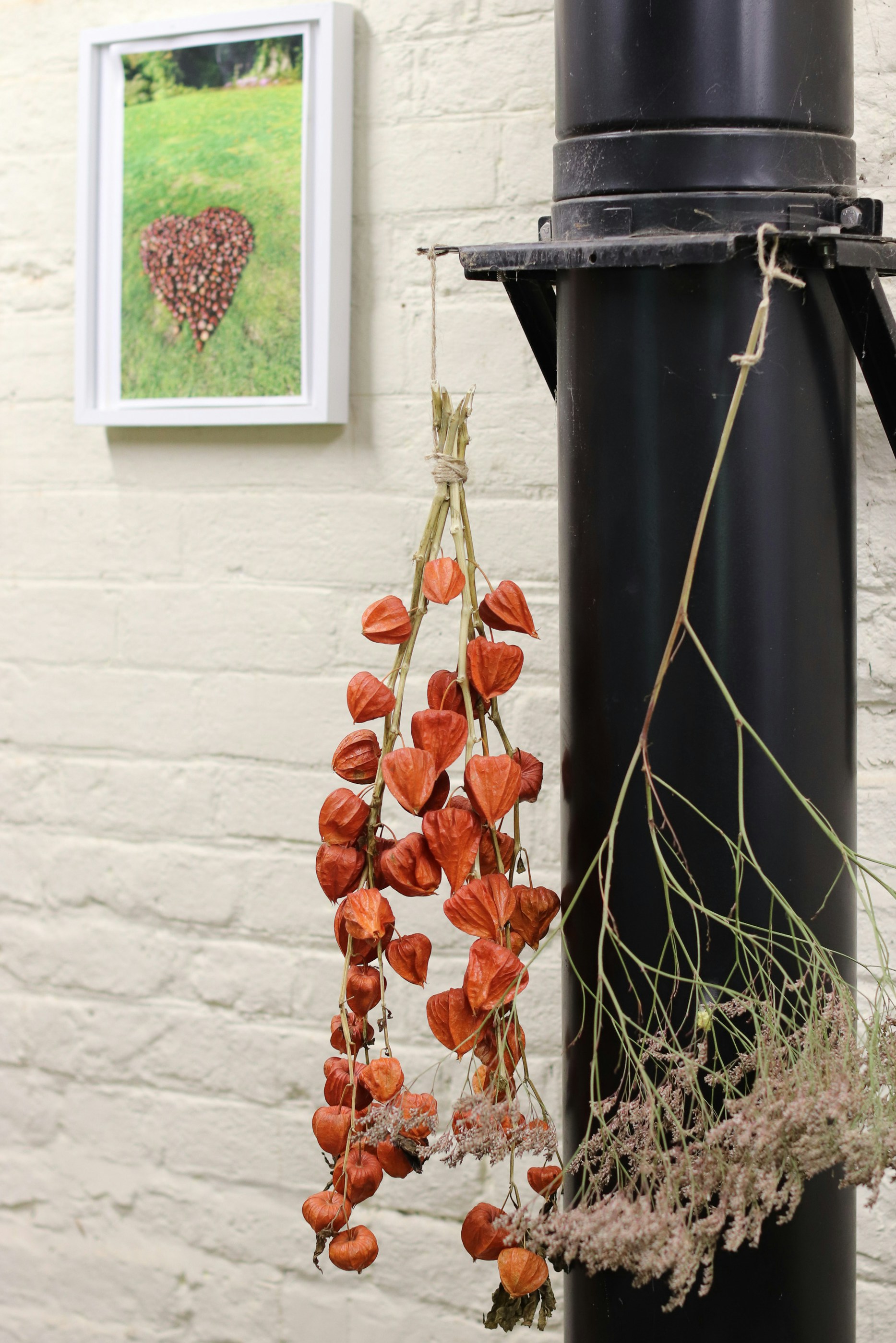 Nature's Heartbeat: A Fusion of Life and Art