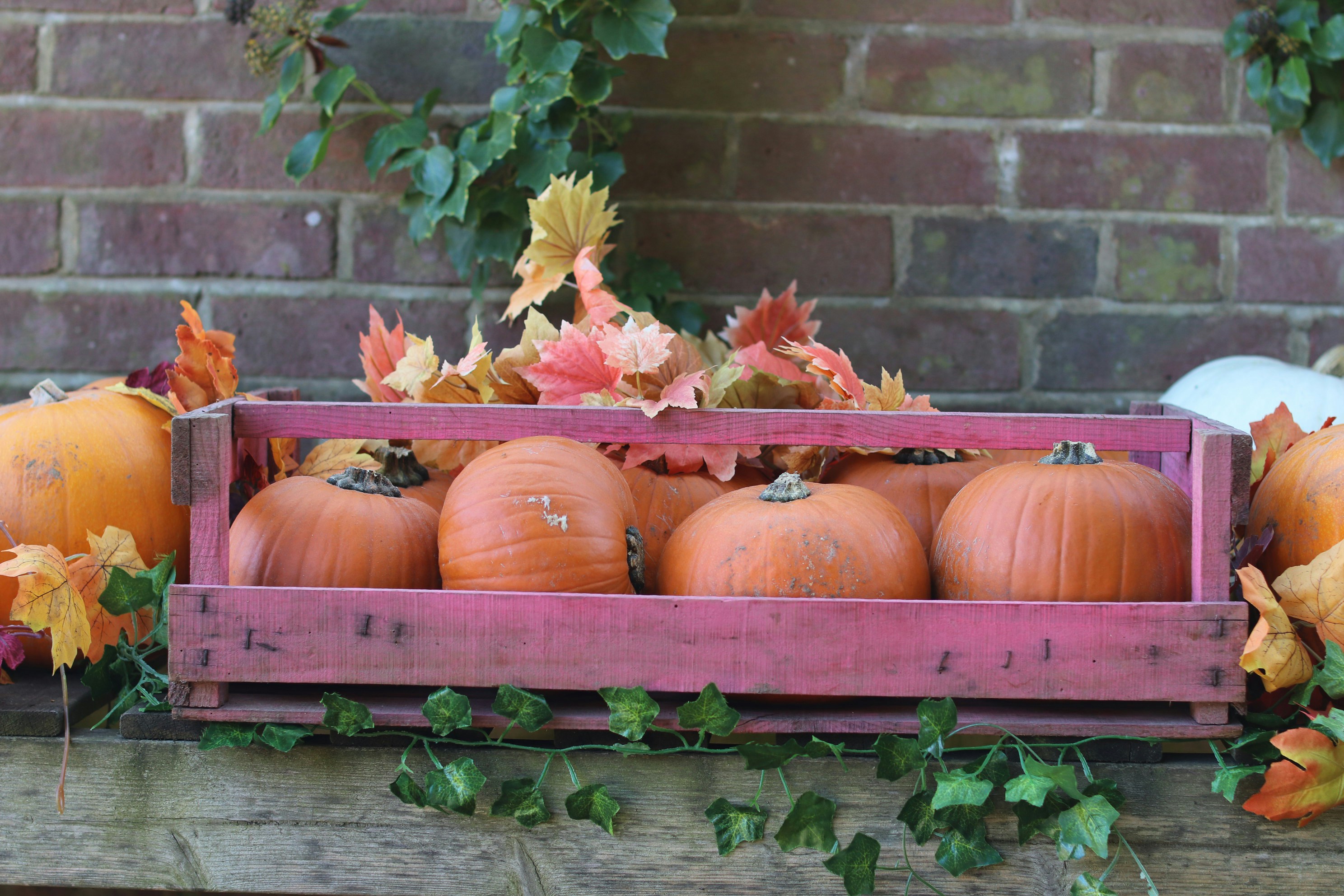 Pumpkins and autumn leaves in a pink wooden crate.