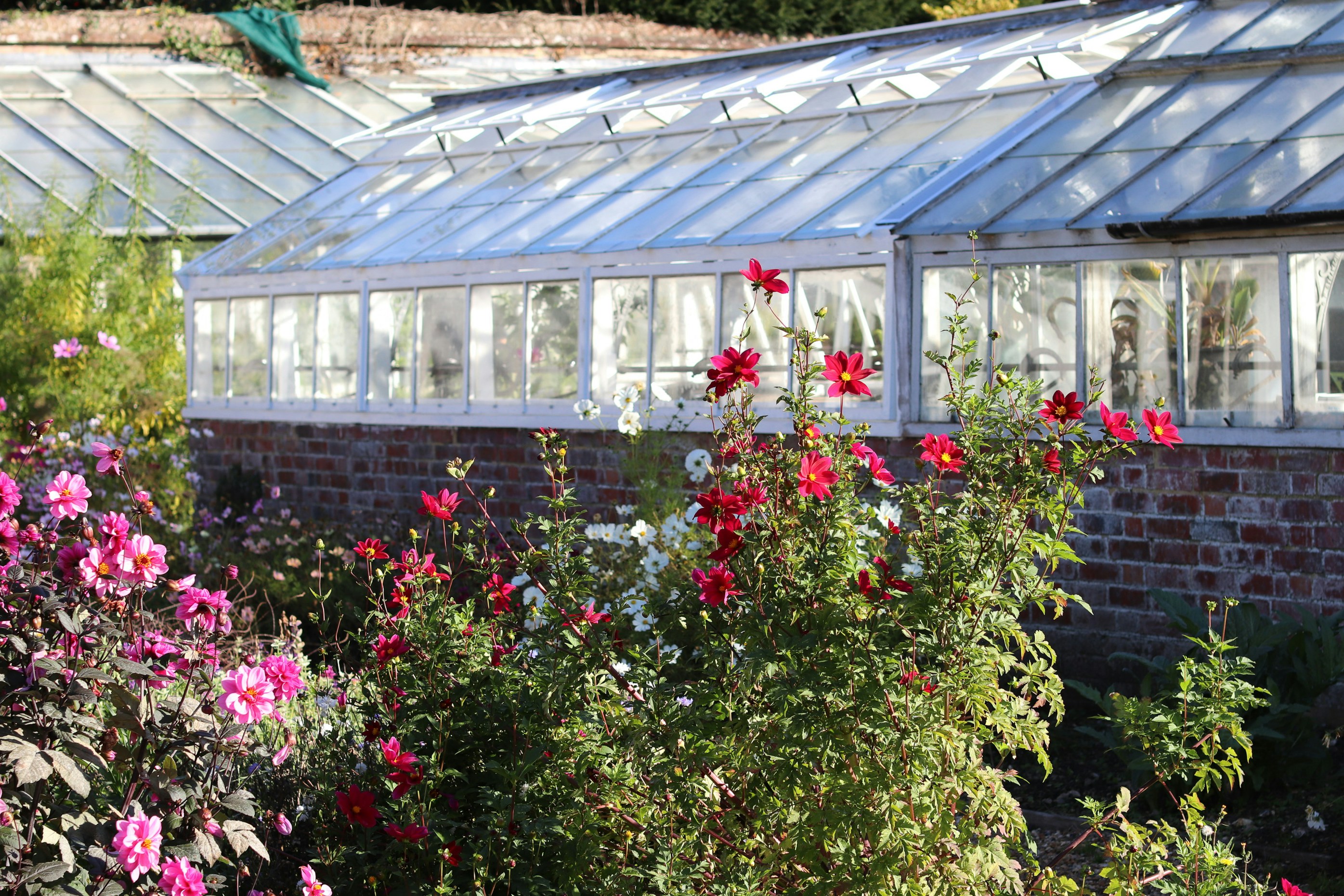 Vibrant flowers in various hues surround a charming greenhouse, showcasing nature's artistry and tranquility.