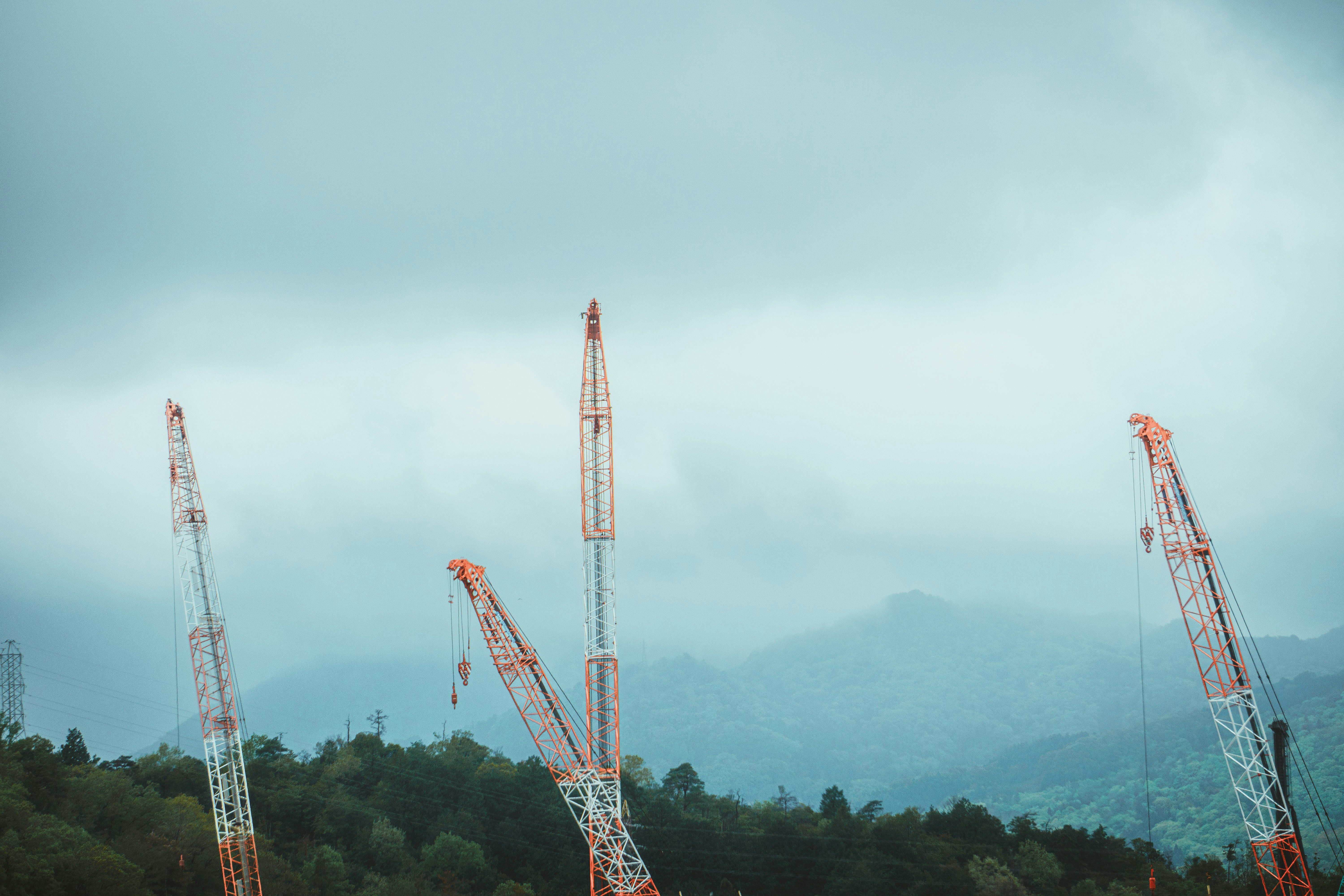 Silent Giants Amidst the Mist