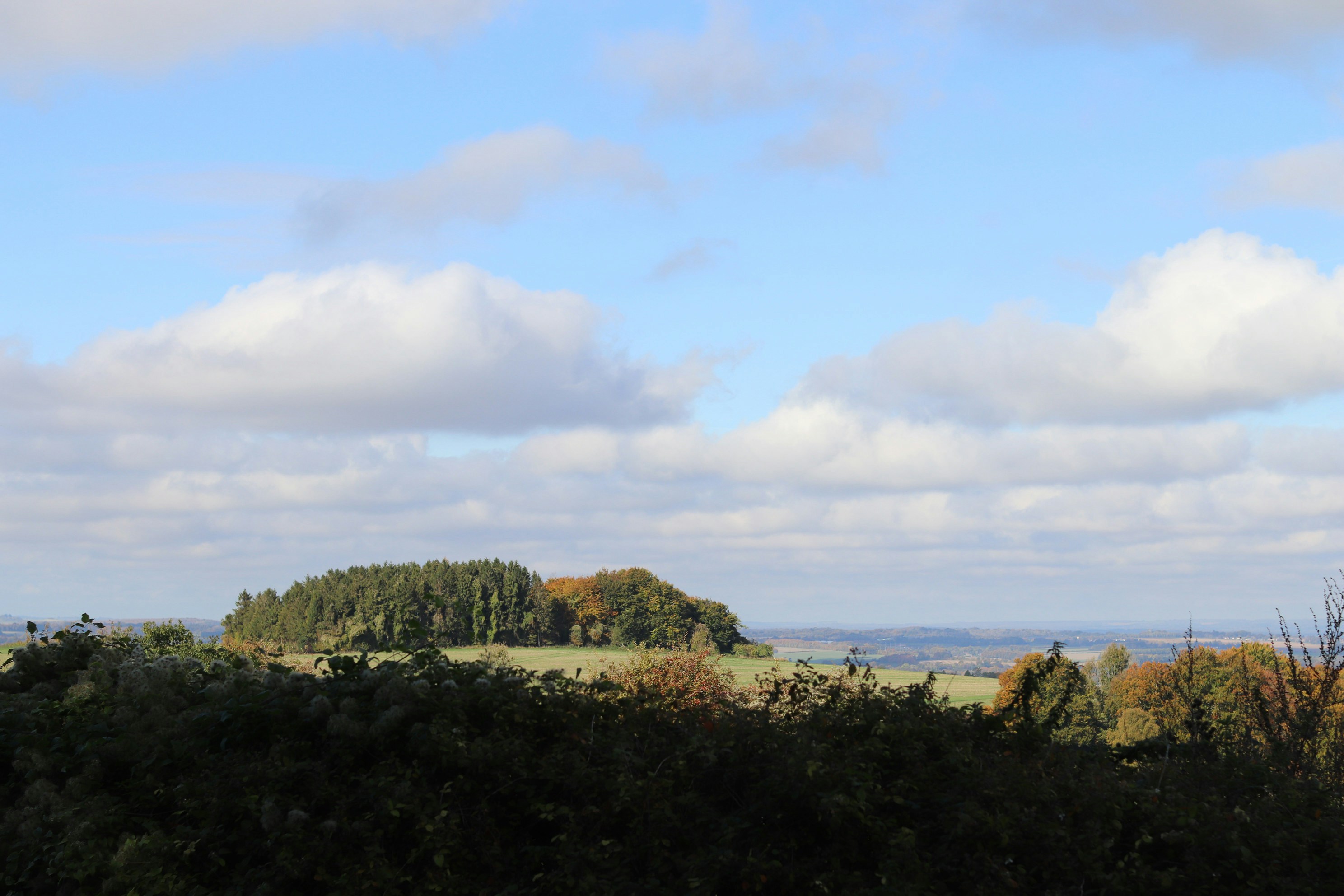 Wooded hill with autumn foliage under cloudy sky