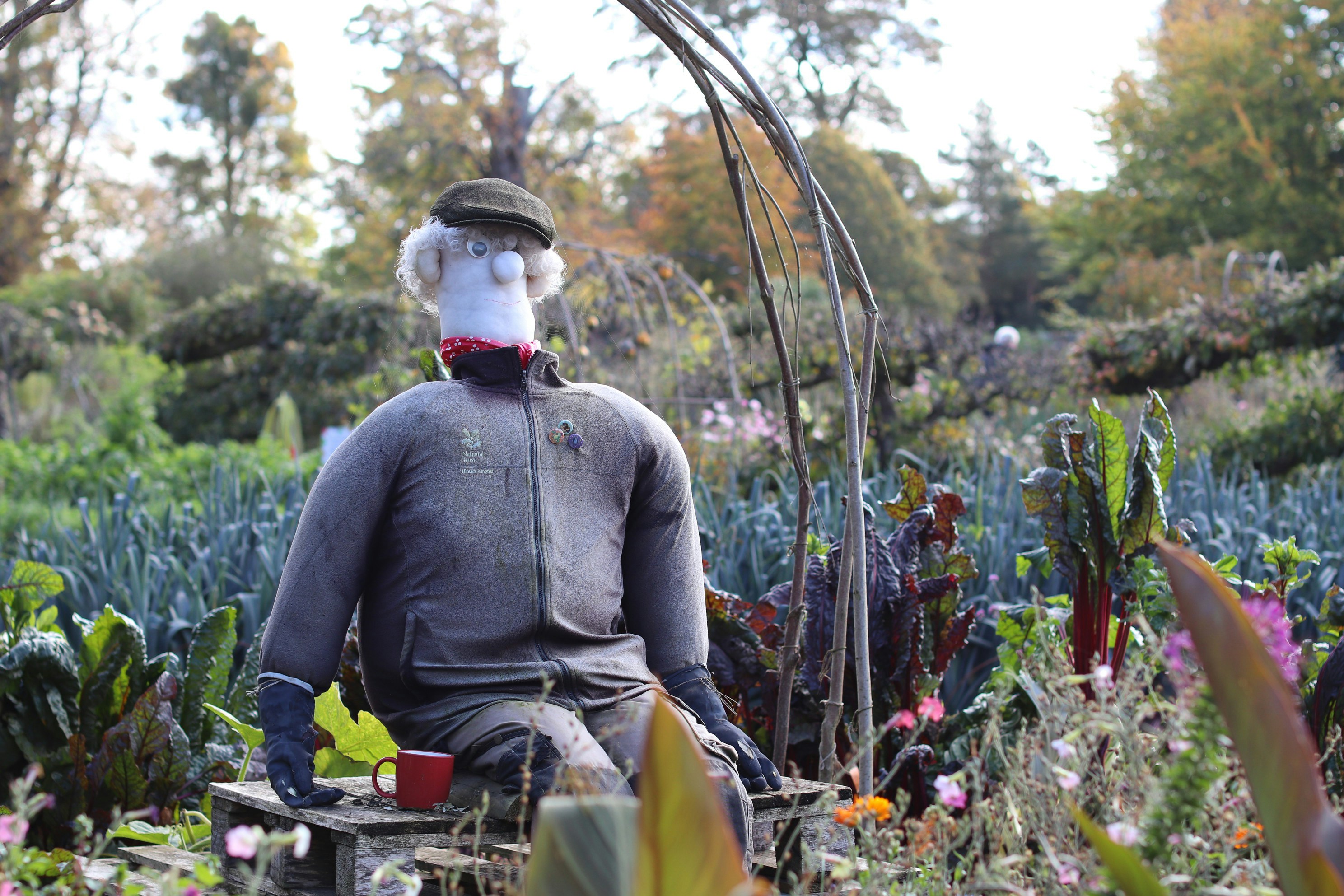 The Gardener's Silent Watch