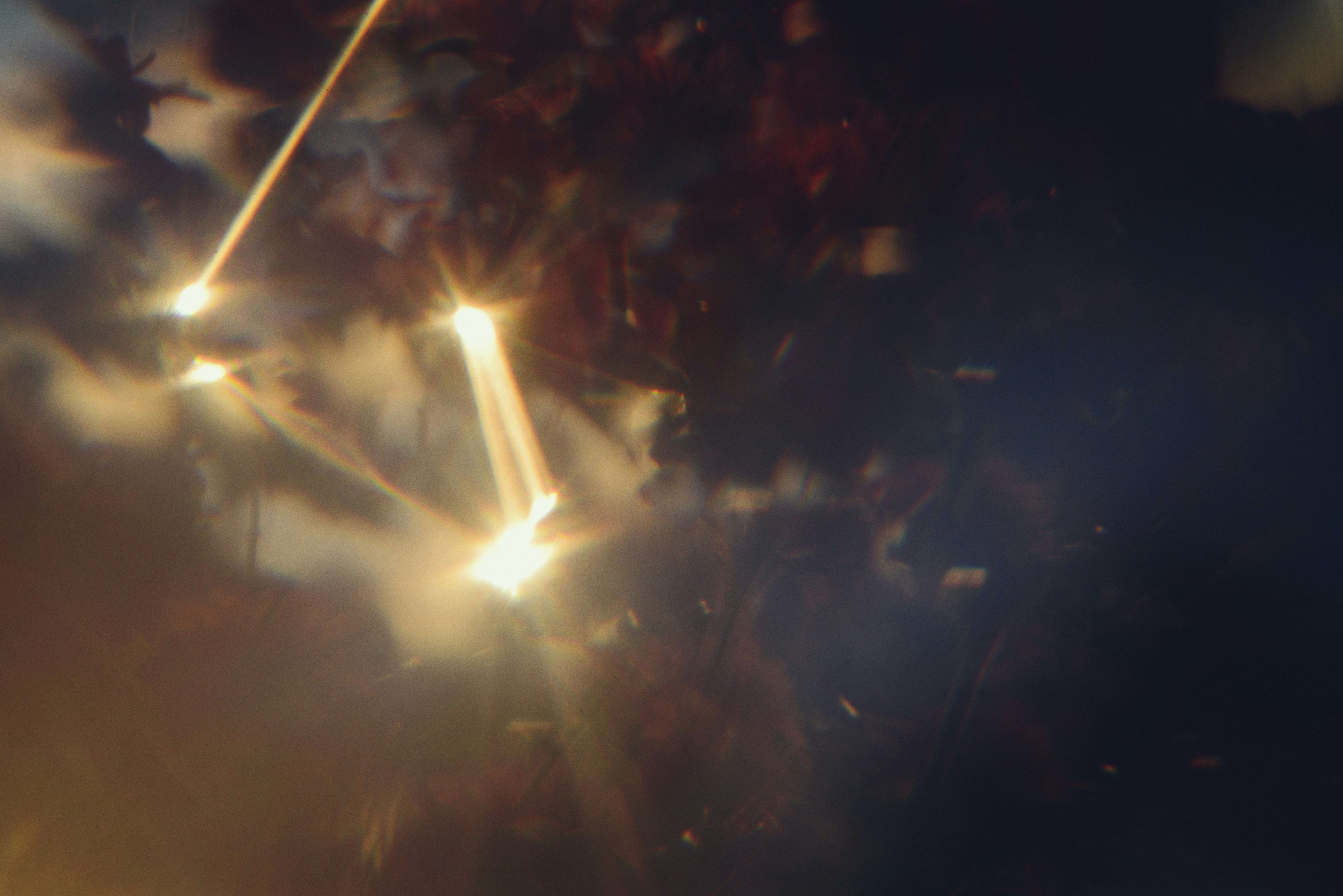 Sunlight refracting through leaves, creating a mesmerizing interplay of light and shadow.