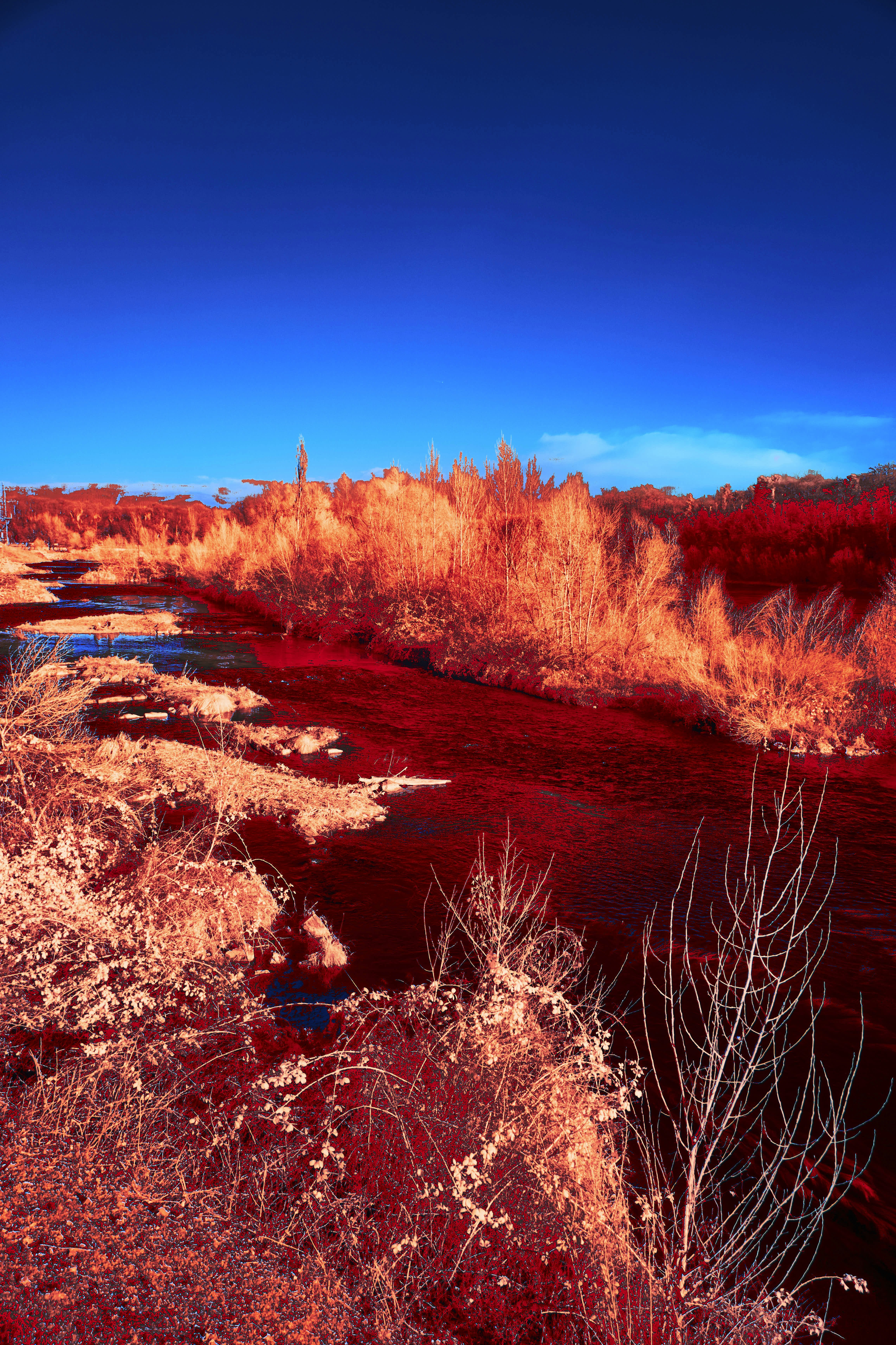 Vibrant landscape featuring a river winding through autumn foliage, with striking color contrasts and reflections. The scene captures the essence of nature's transformation.