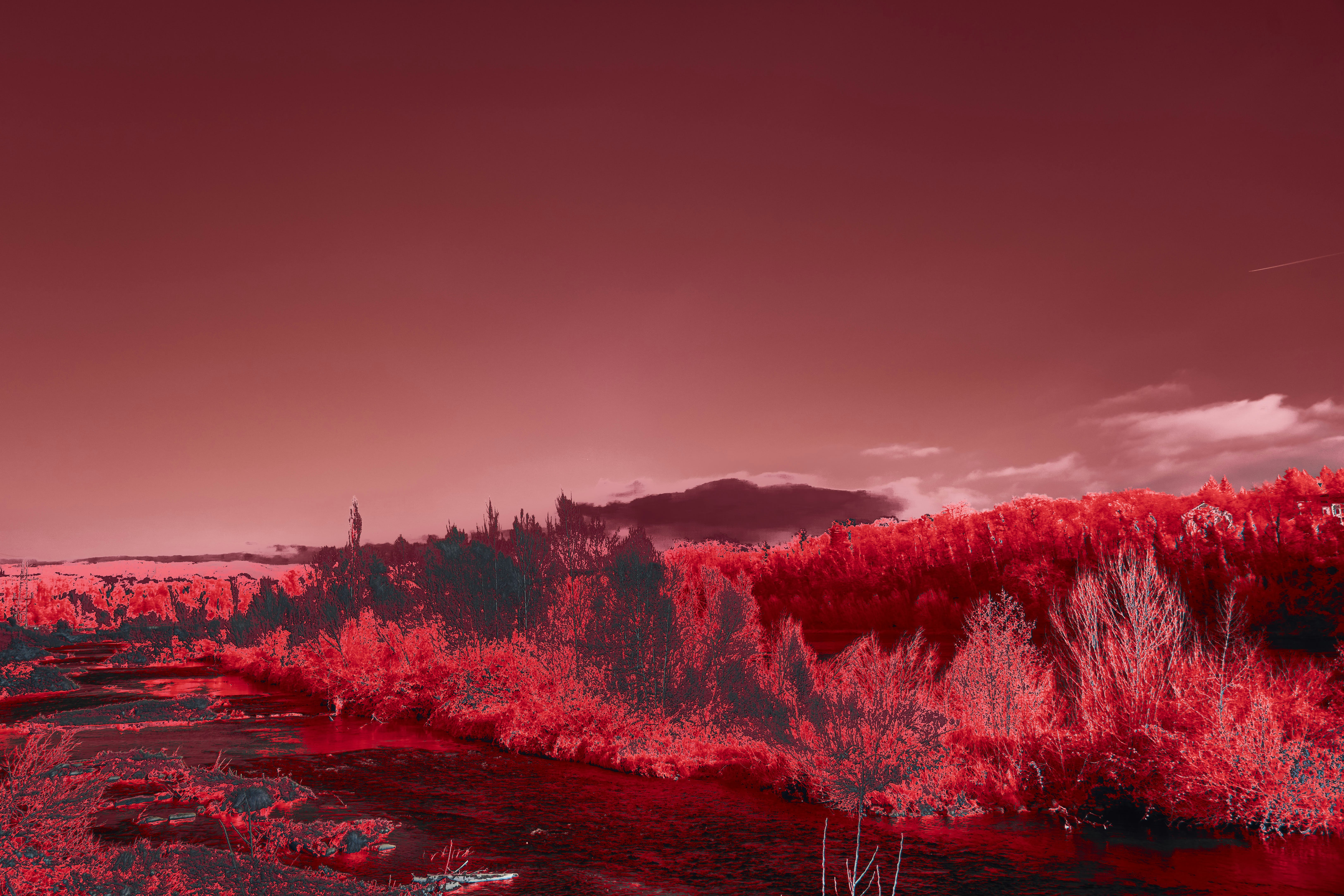 Crimson Reflections: Nature's Surreal Palette
