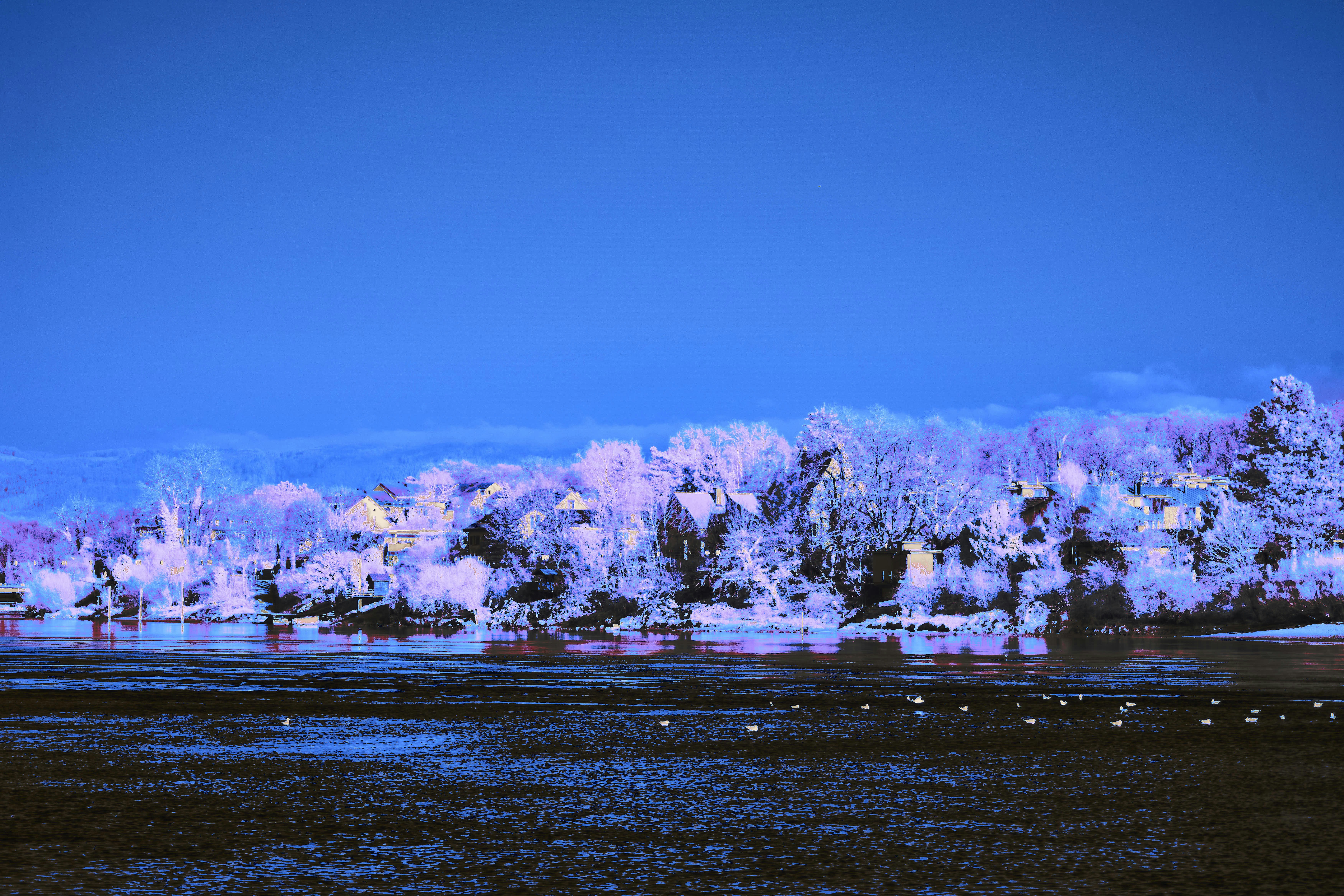 Ethereal Winter Reflections