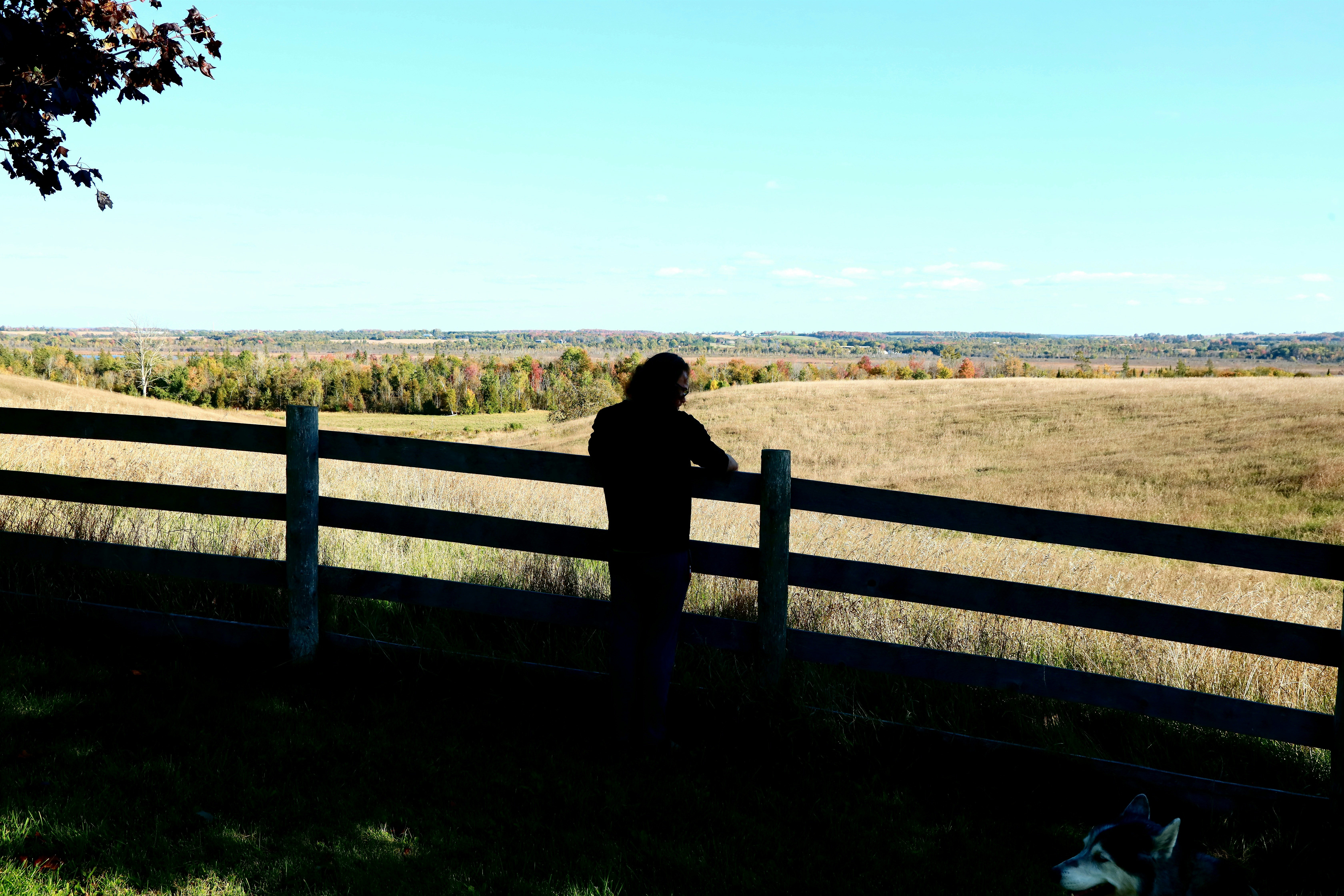 Person looking over a vast field from a fence.