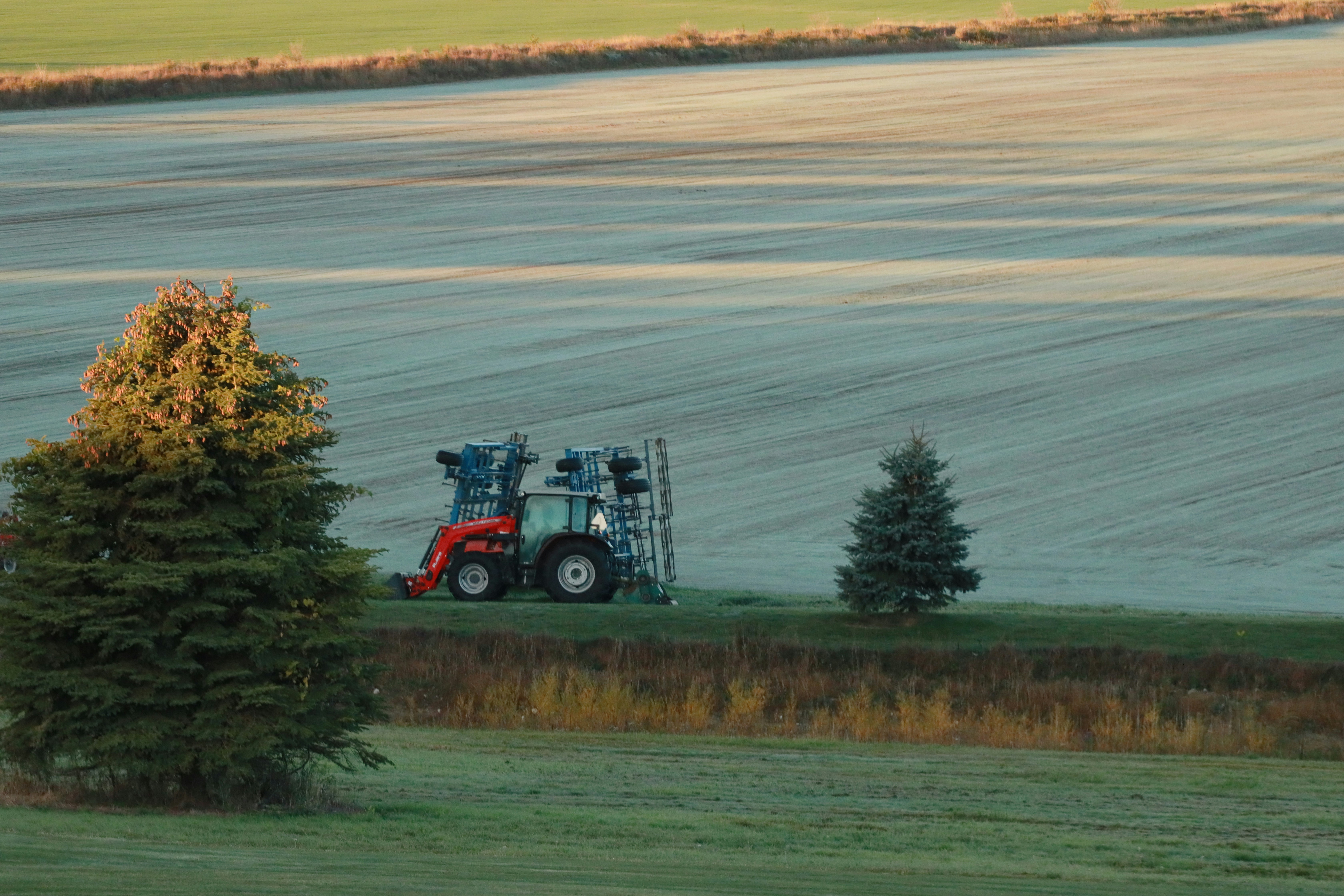 Harvesting the Dawn: A Farmer's Morning Routine