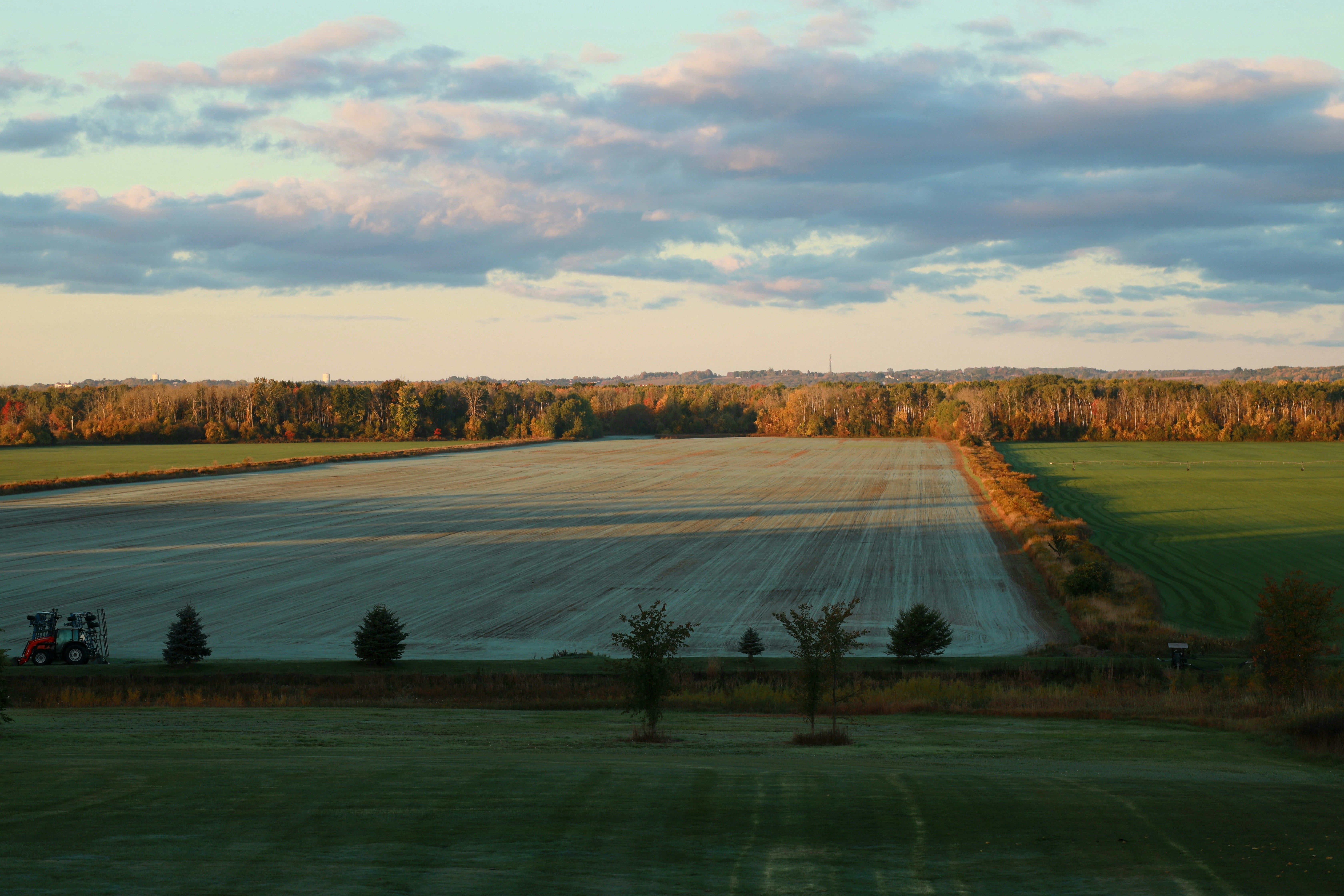 Harvest's Embrace: Autumn's Golden Canvas