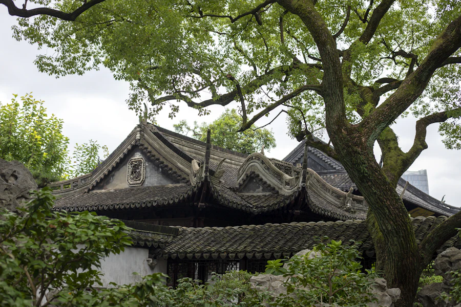 Traditional Chinese tiled rooflines and ornate eaves partially framed by a large gnarled tree and lush garden foliage.