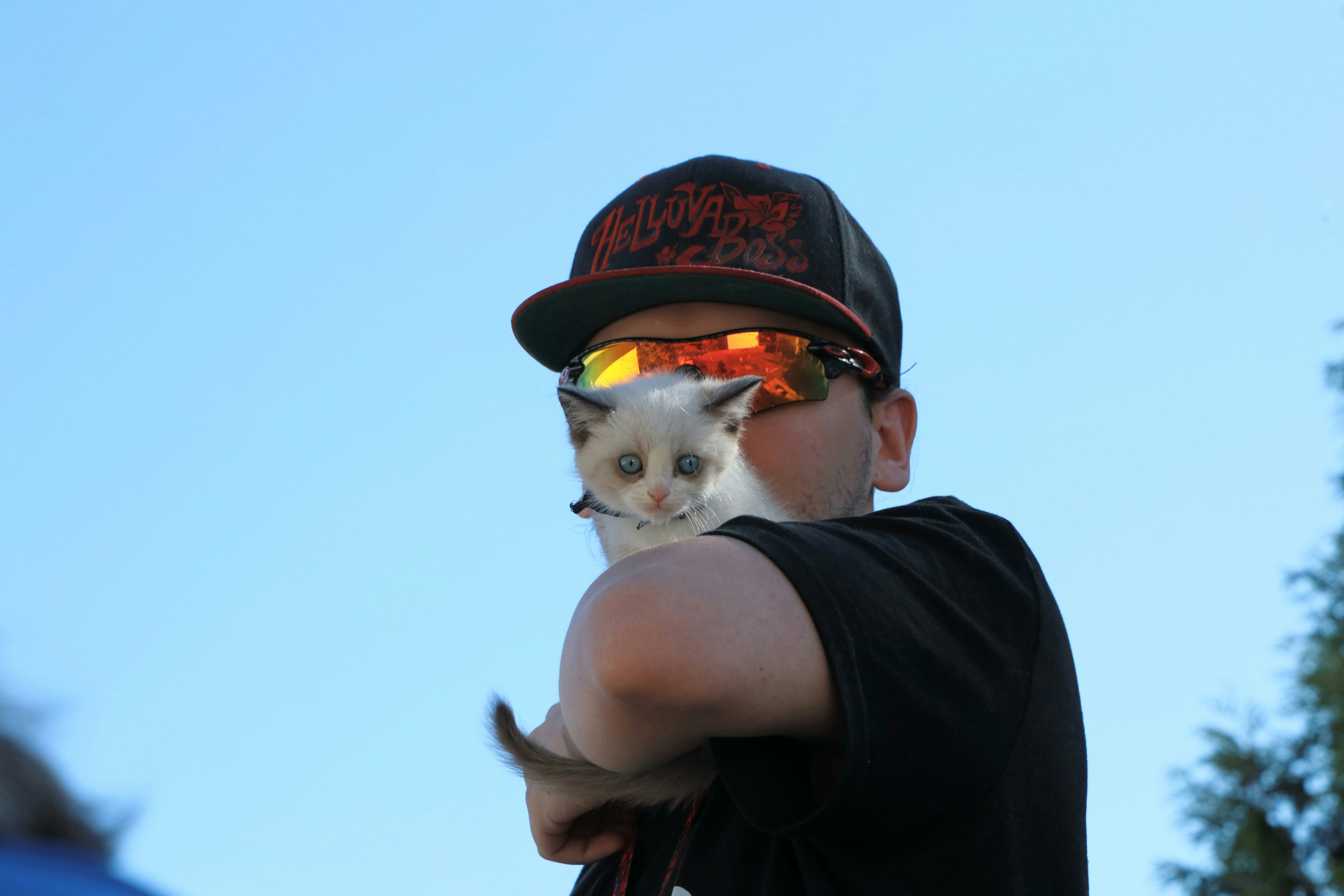 Boy holding a fluffy kitten against a blue sky