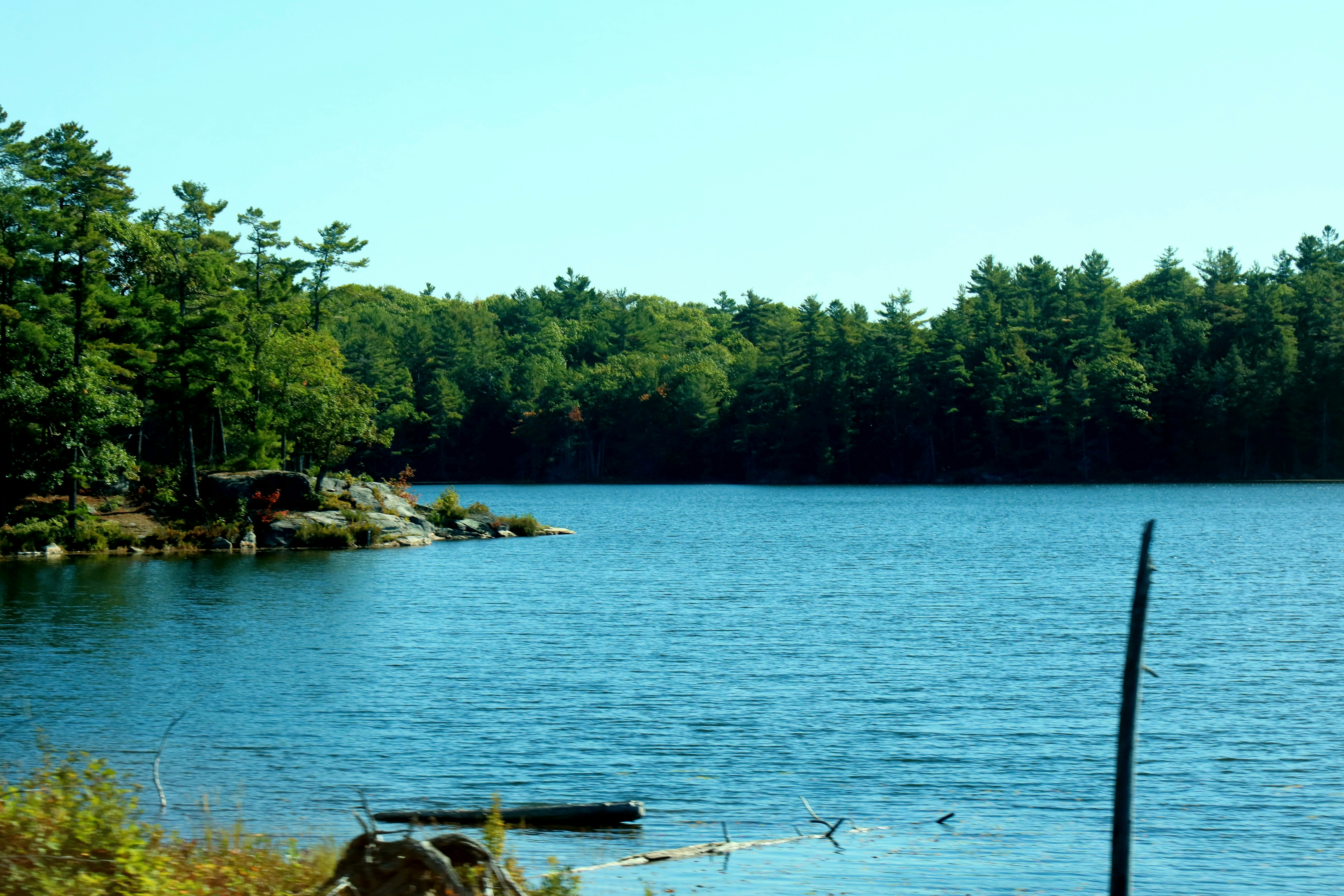 Tranquil lake surrounded by lush greenery and rocky outcrops, reflecting a clear blue sky. Perfect for nature enthusiasts.