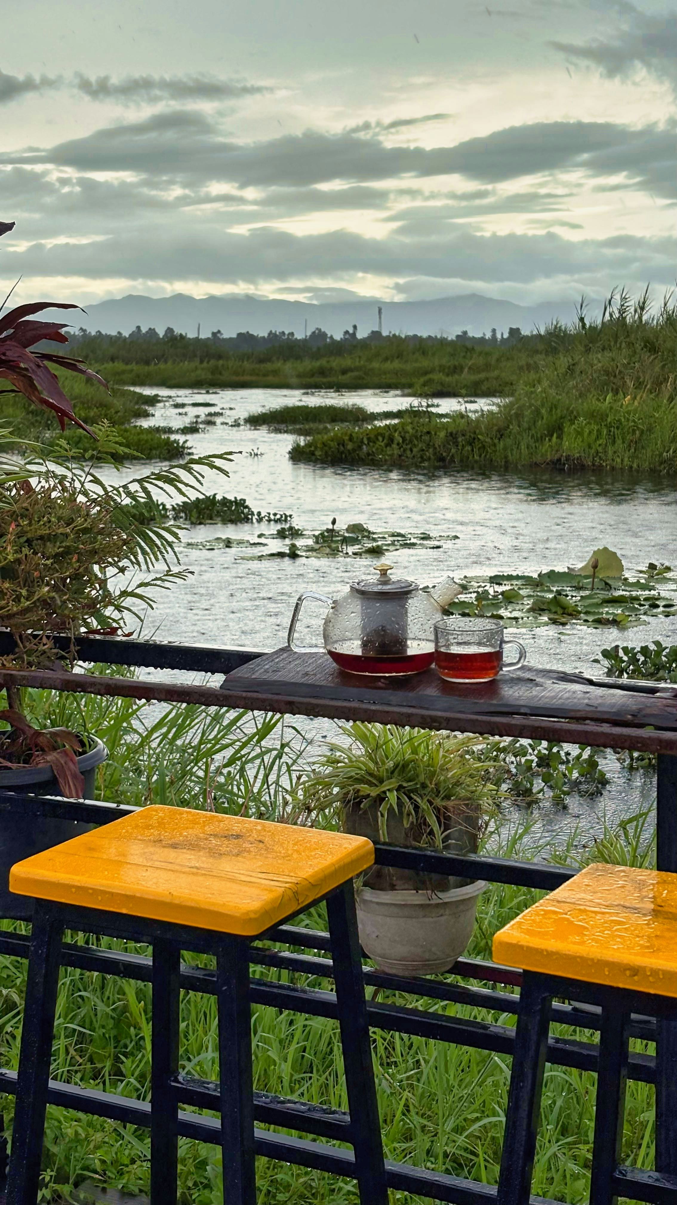 A cozy tea setup on a balcony overlooking a tranquil waterway, framed by lush greenery and a moody sky. The scene invites relaxation and contemplation.