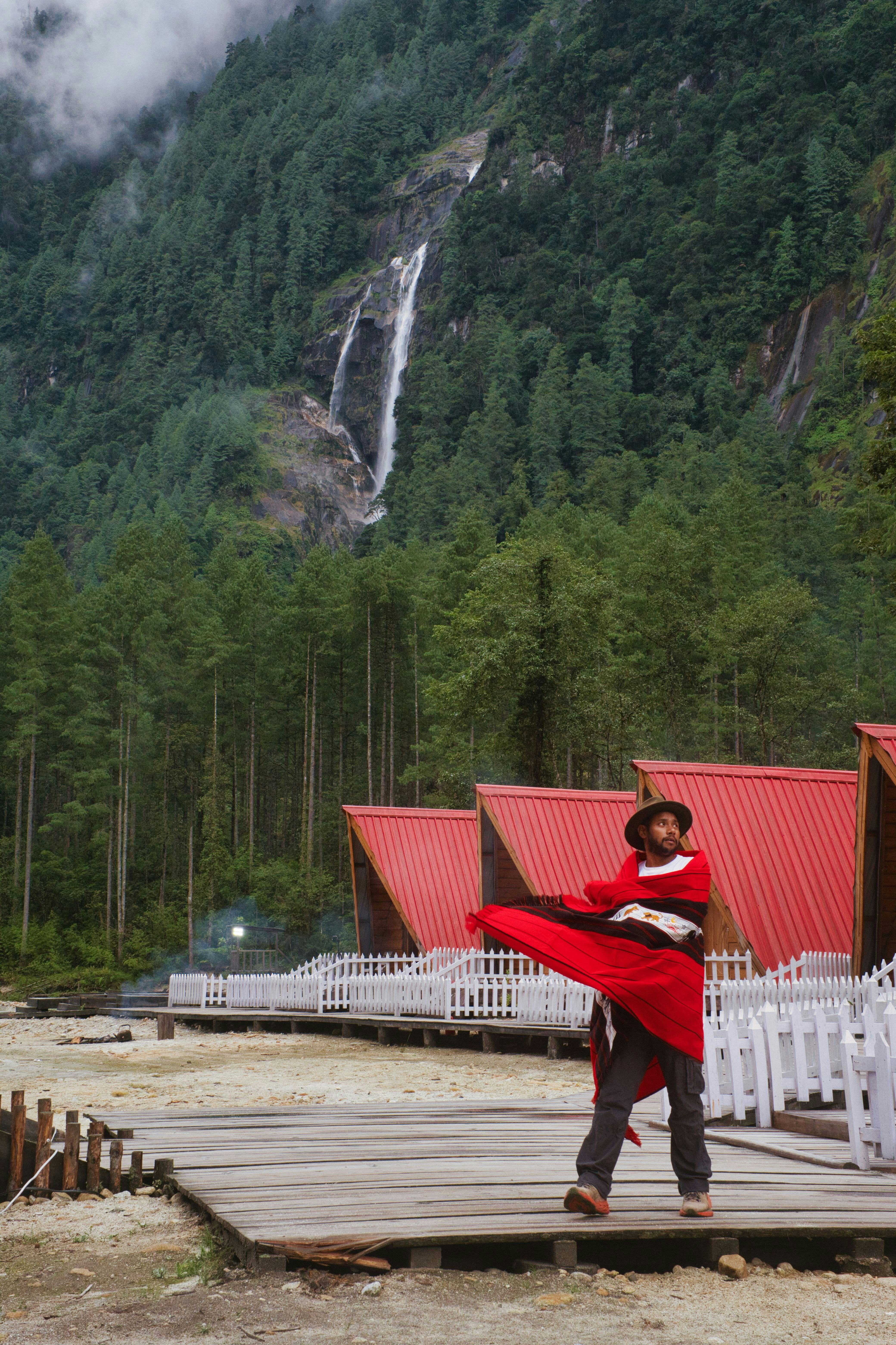 Whispers of Nature: A Dance Amidst the Pines