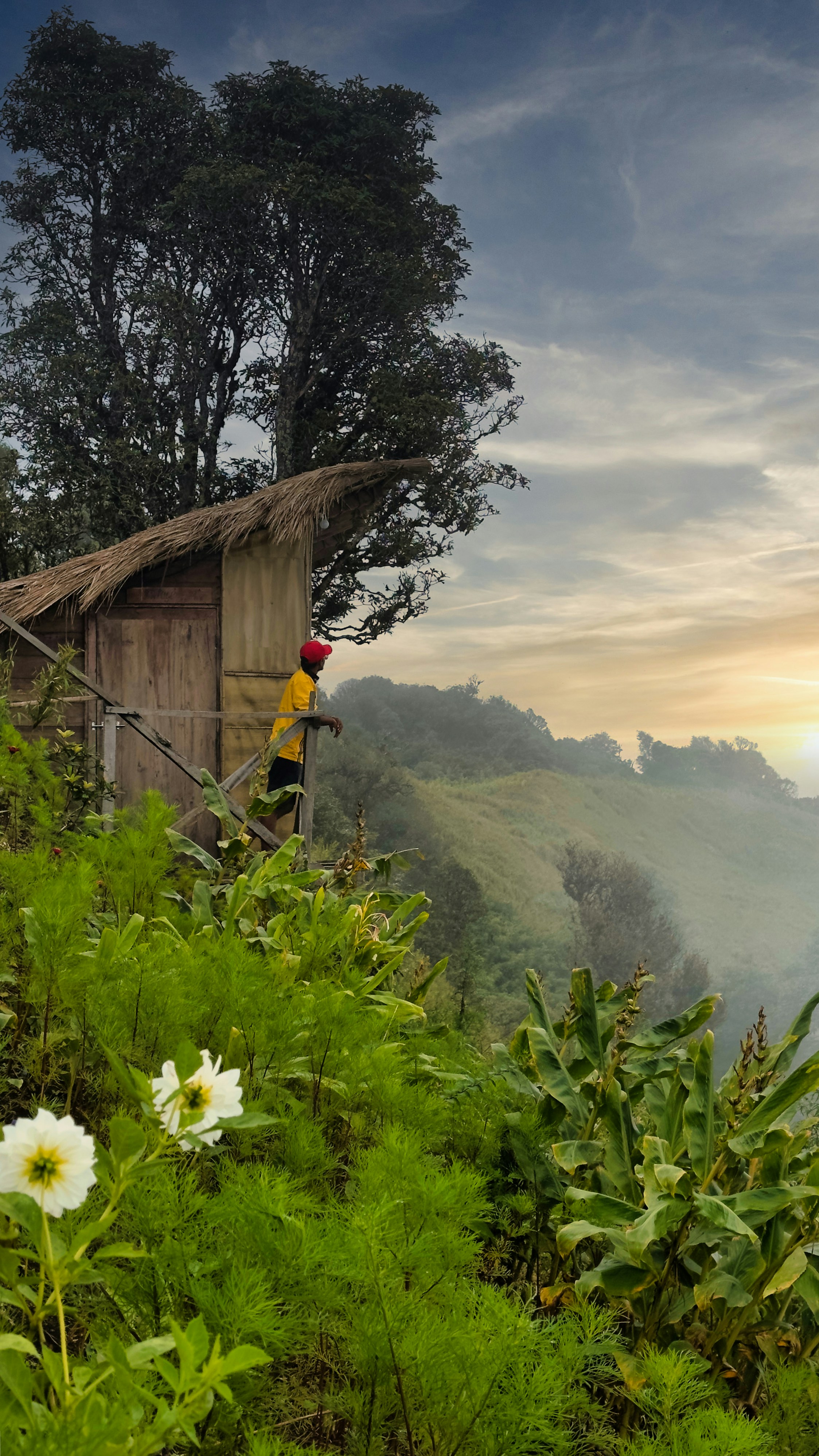 Harmony with Nature: A Glimpse into Rural Life