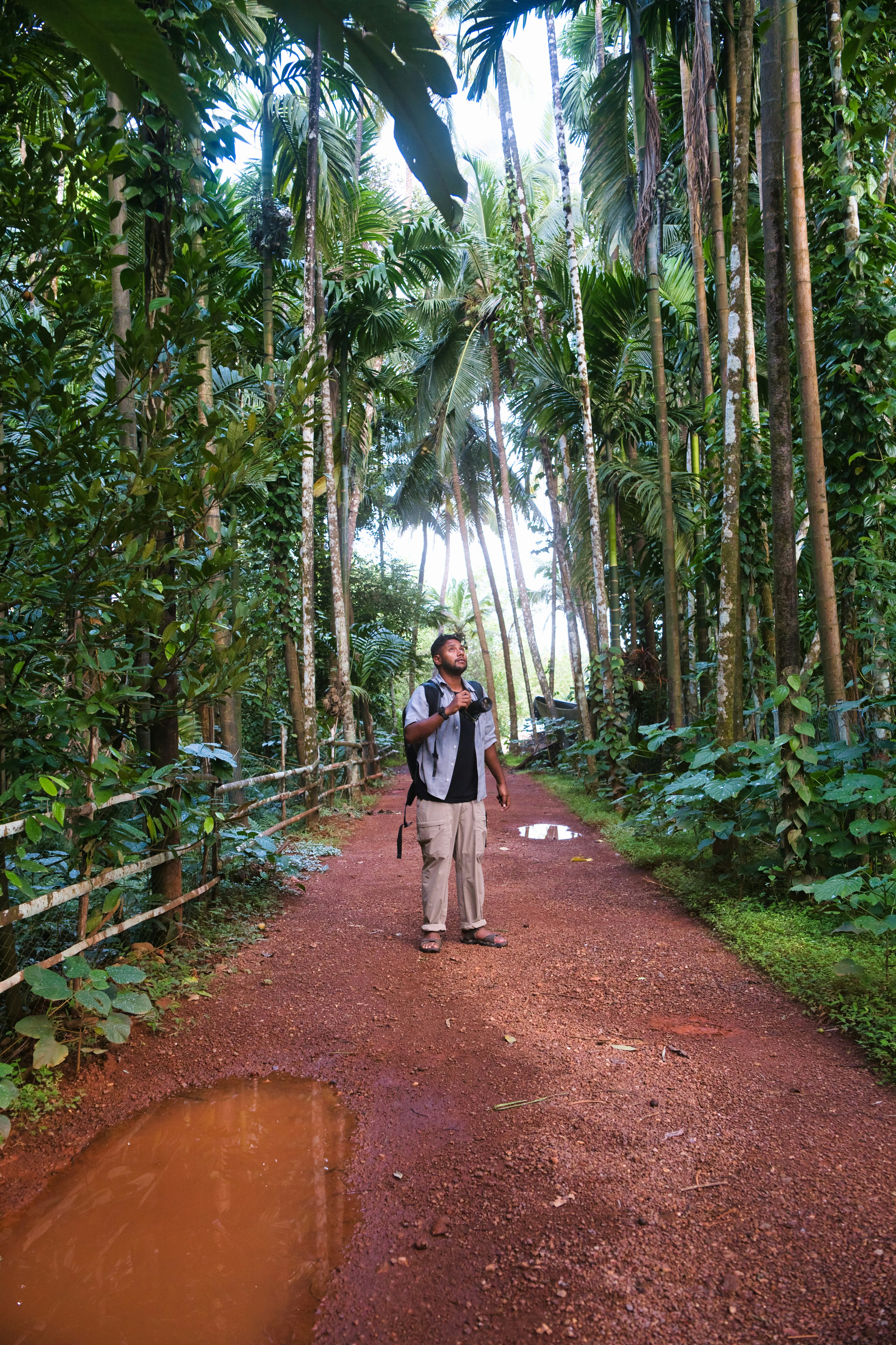 Journey Through the Lush Canopy