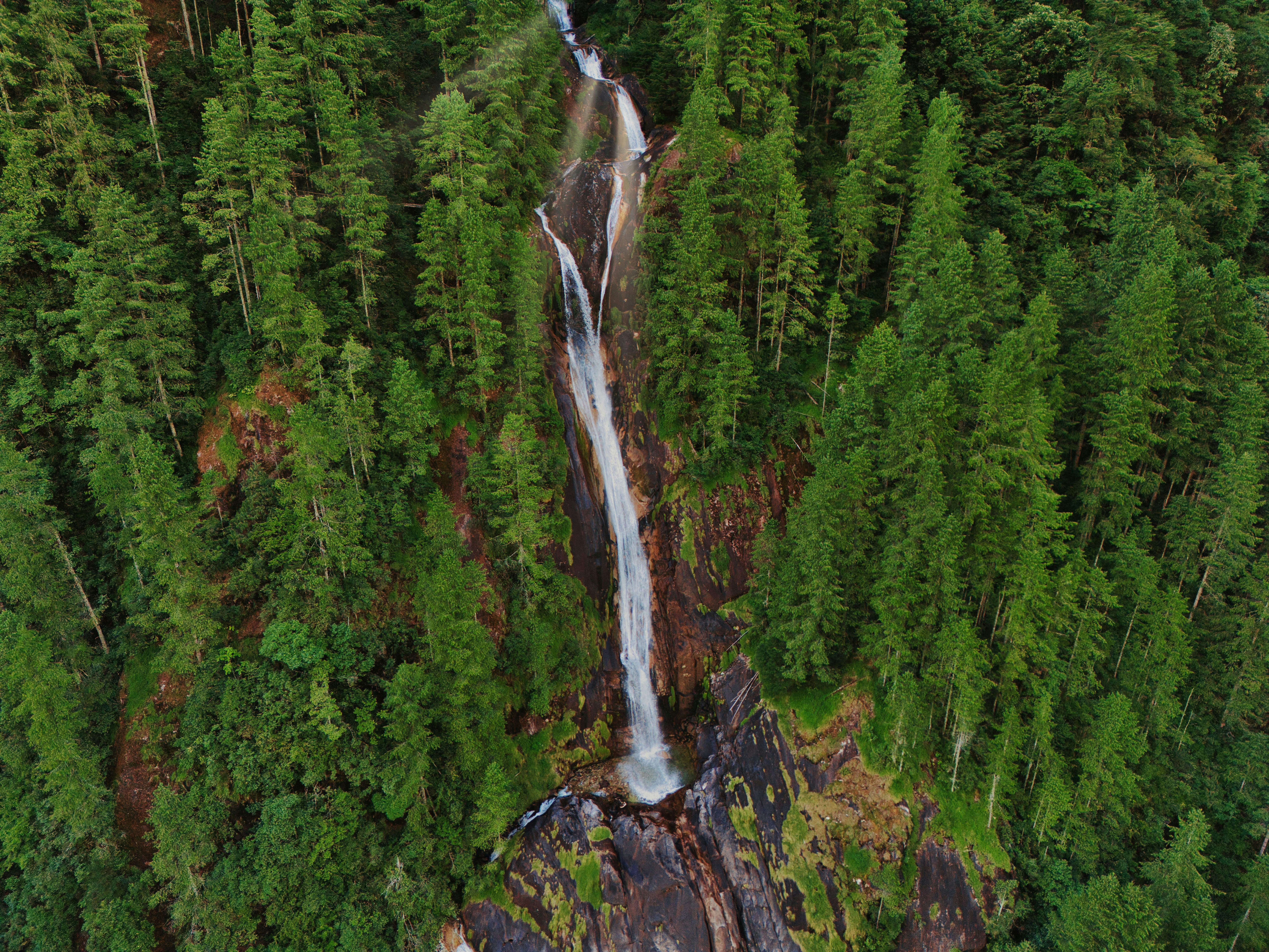 Nature's Cascading Symphony