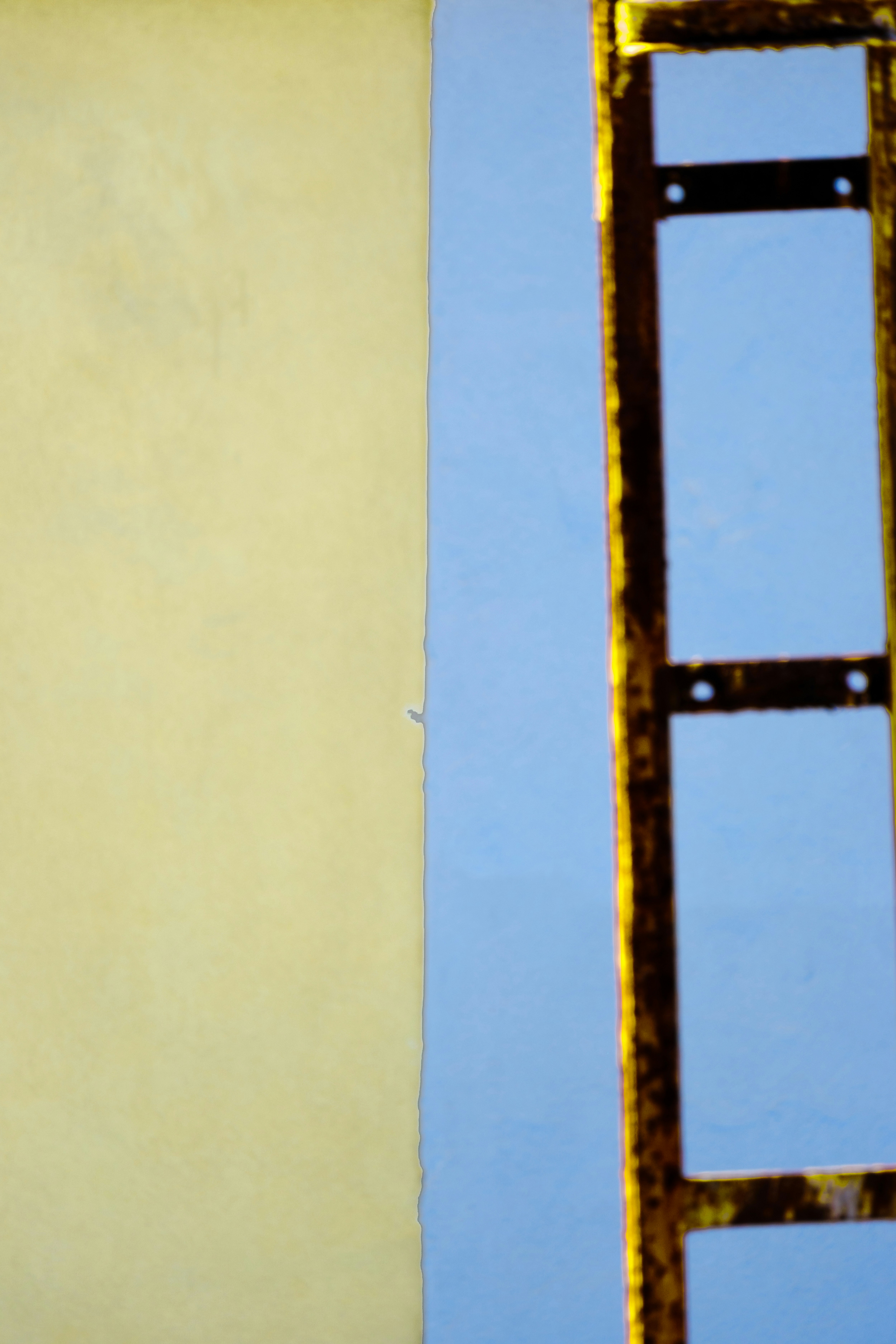Vertical Ascent: A Study in Color and Structure