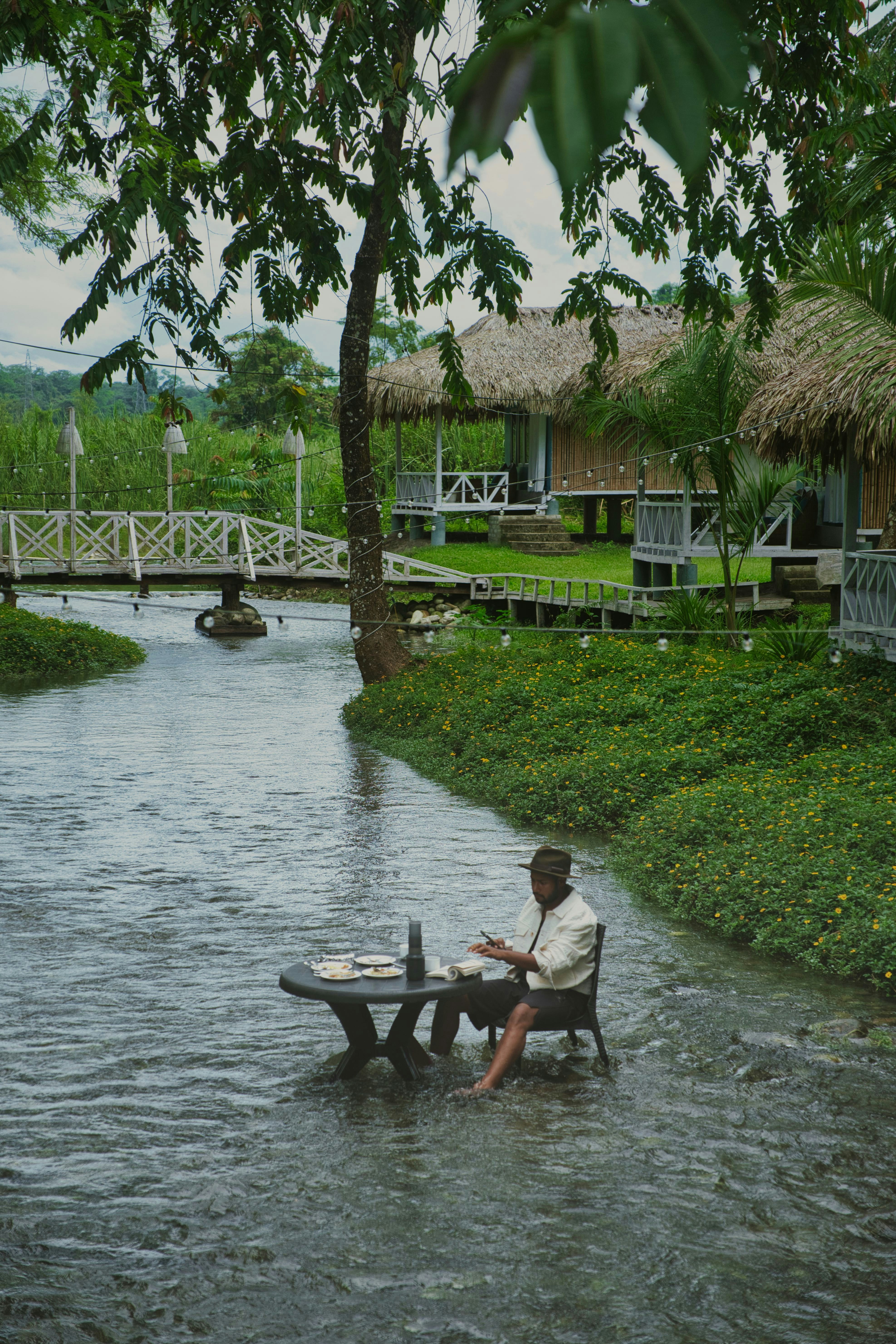 Serenity Amidst Nature's Embrace