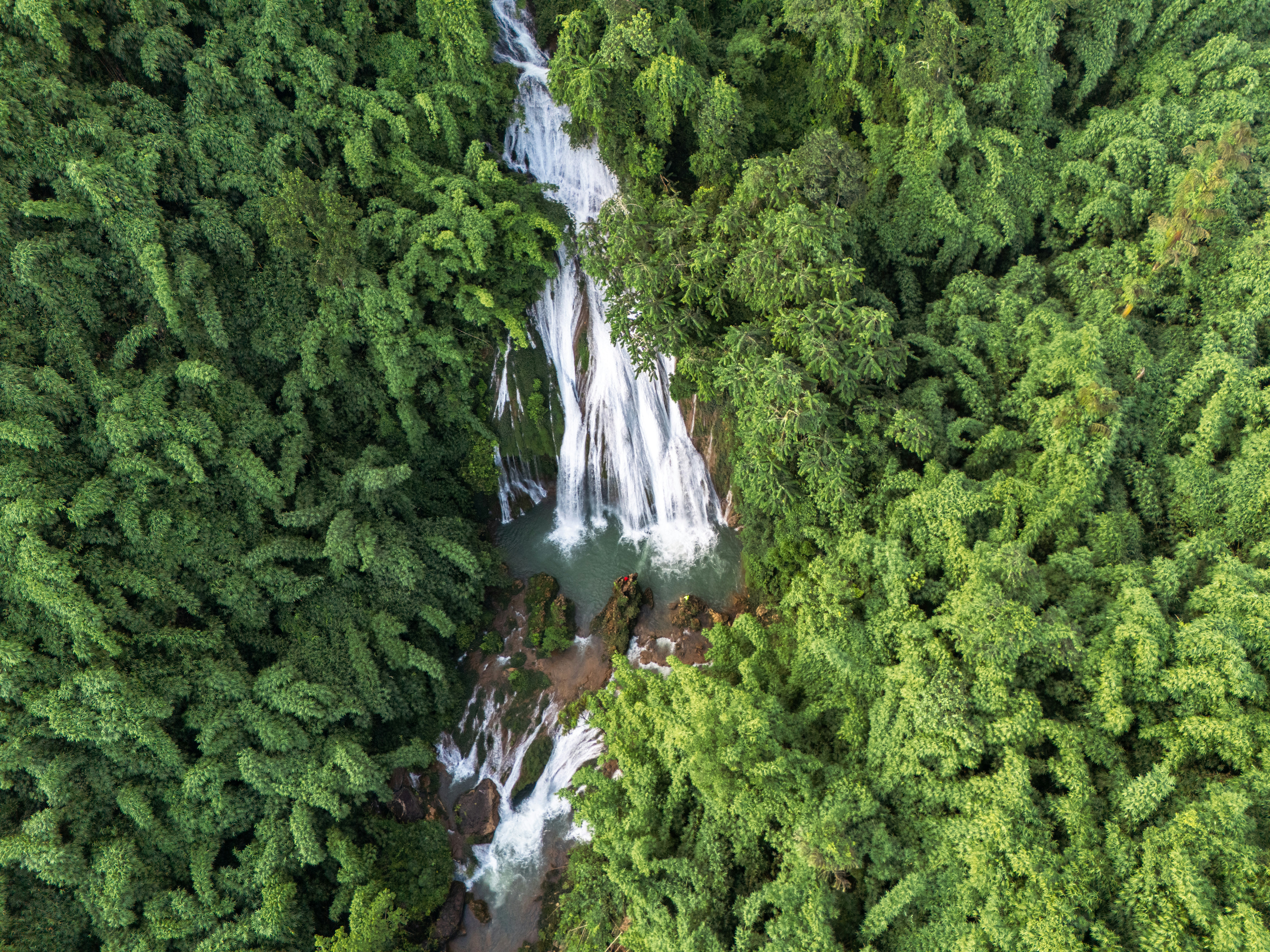 A lush green forest with a cascading waterfall. photo – Free Forest ...