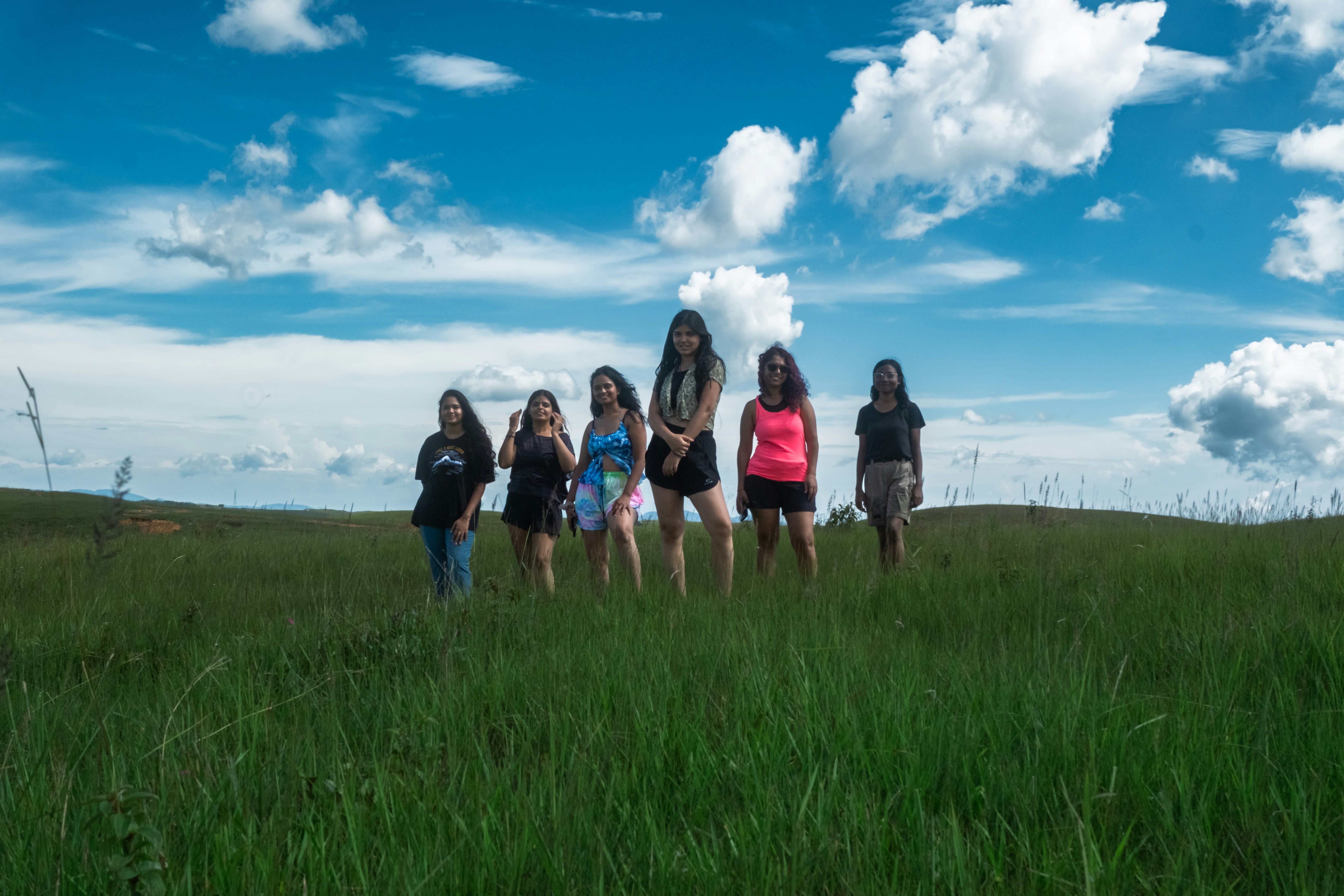 Unity in Nature: A Gathering Amidst the Green