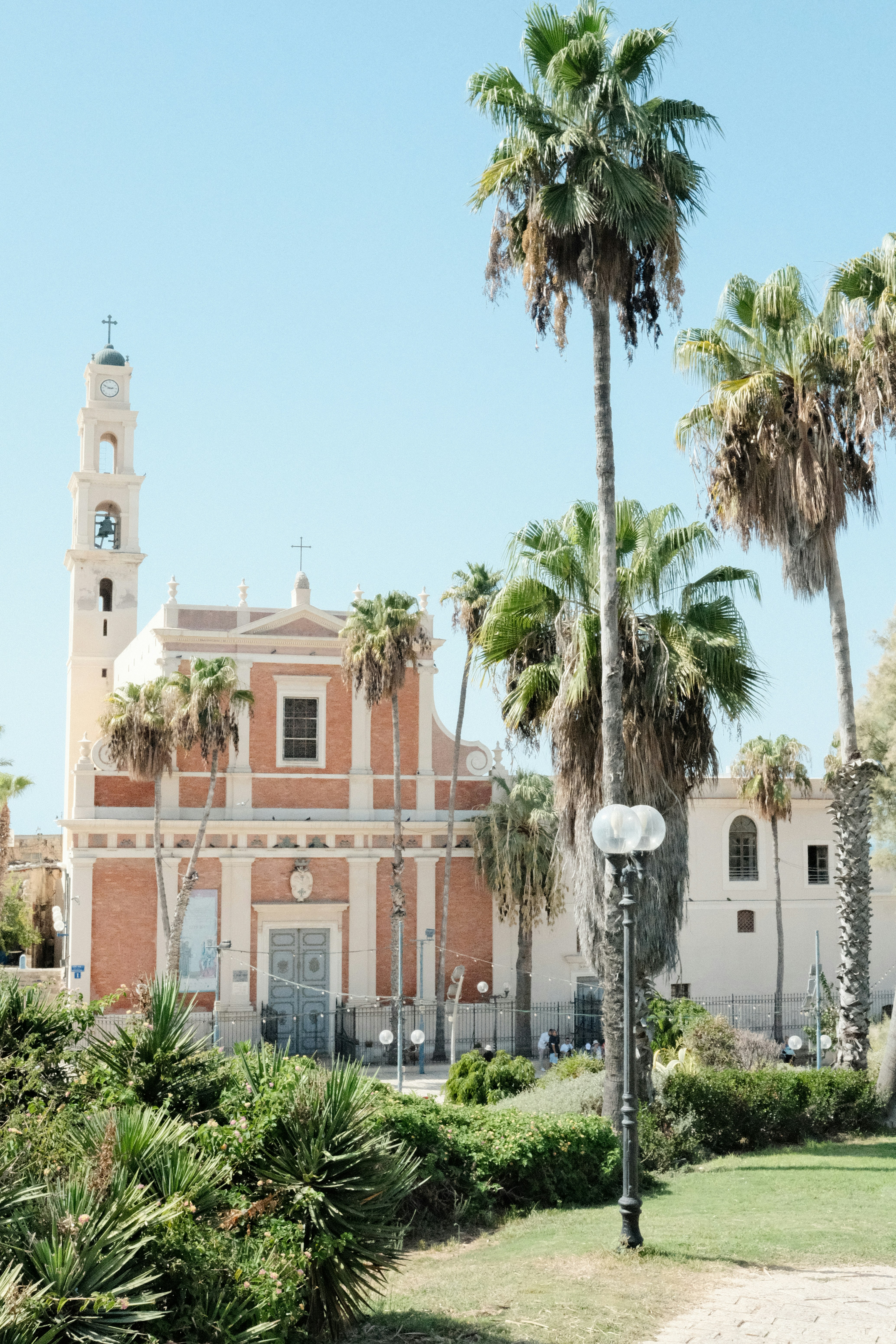 Church with bell tower surrounded by palm trees