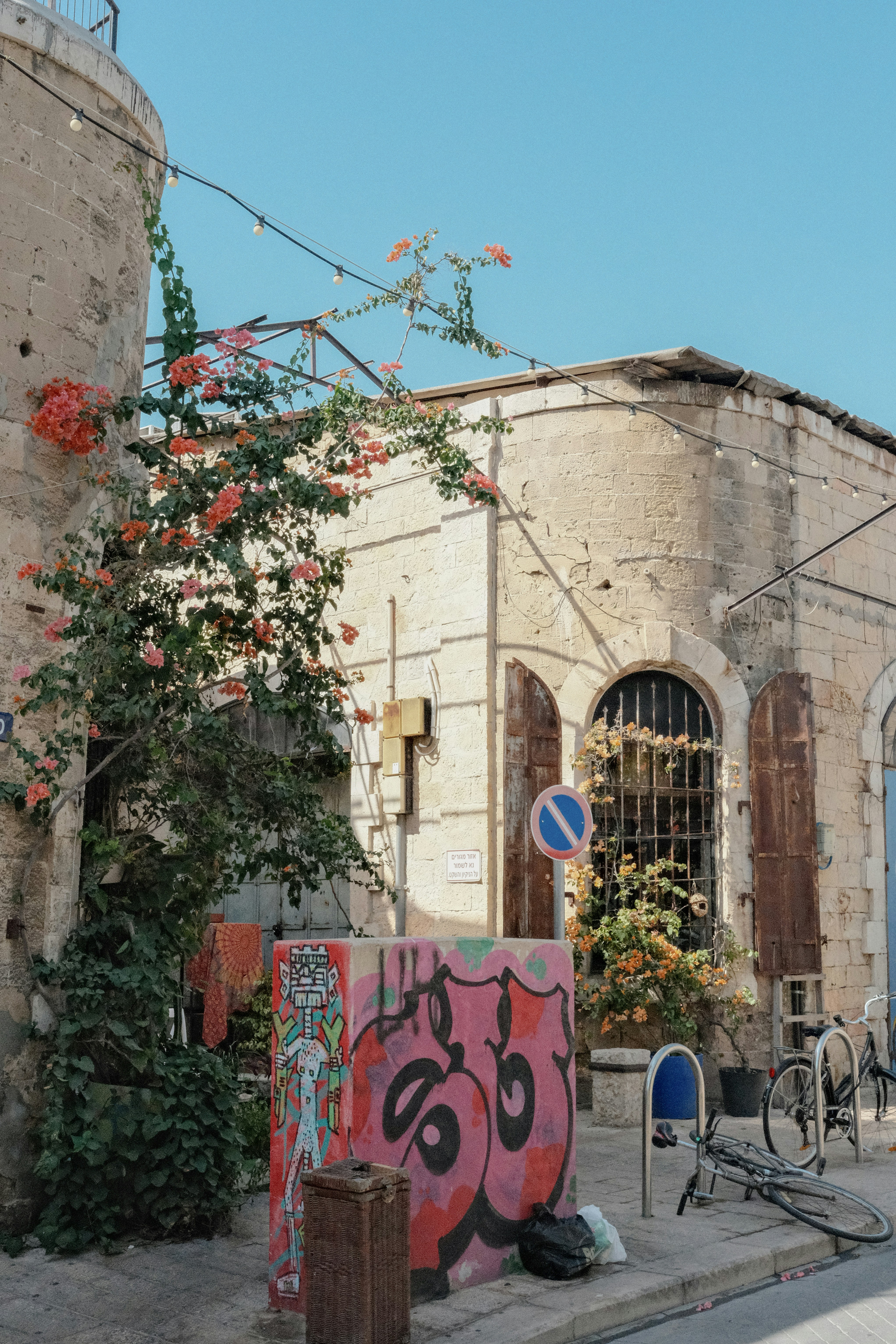 Graffiti art on a building with flowering vines.