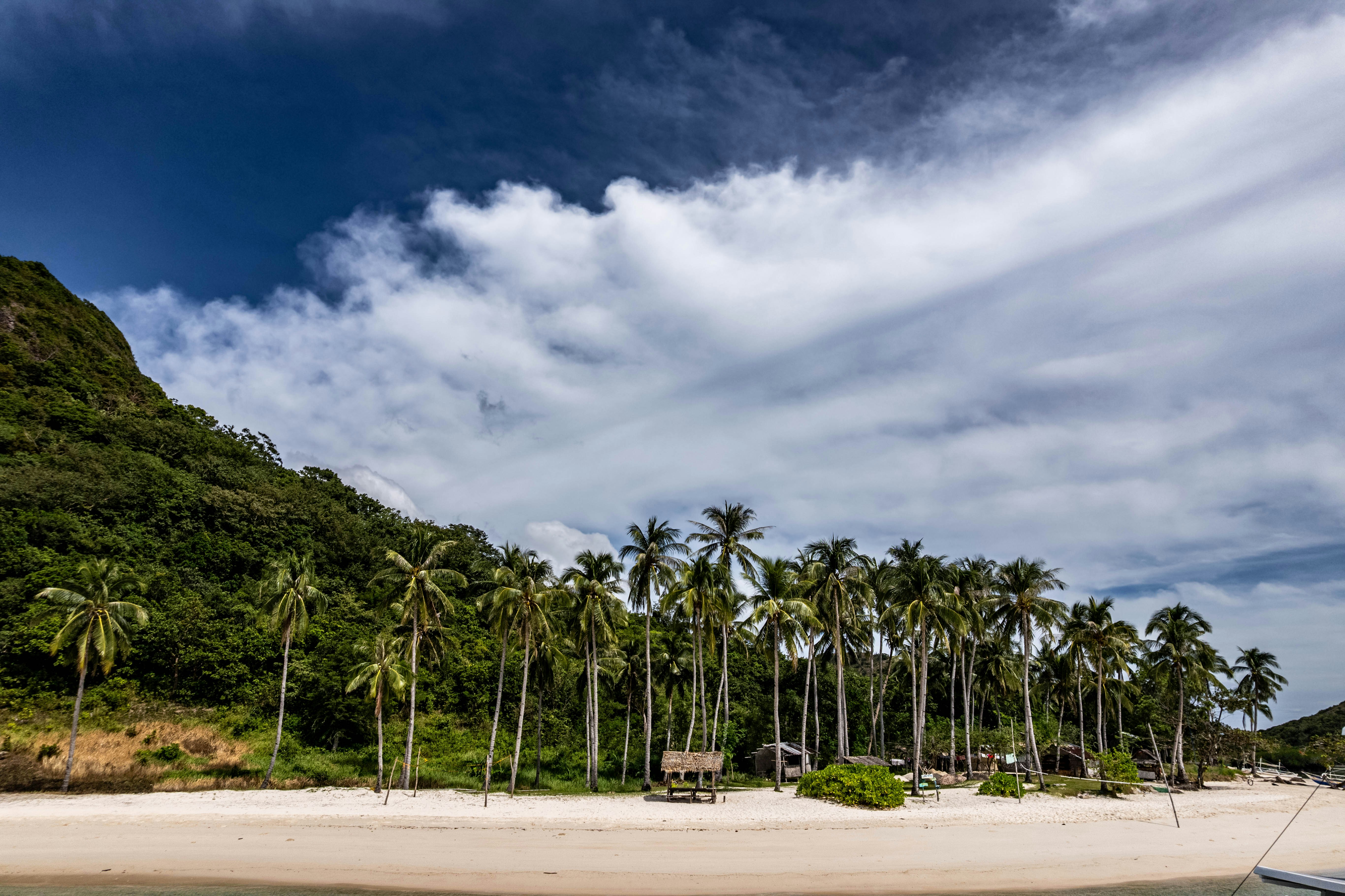 Tropical beach with palm trees and a lush green mountain.