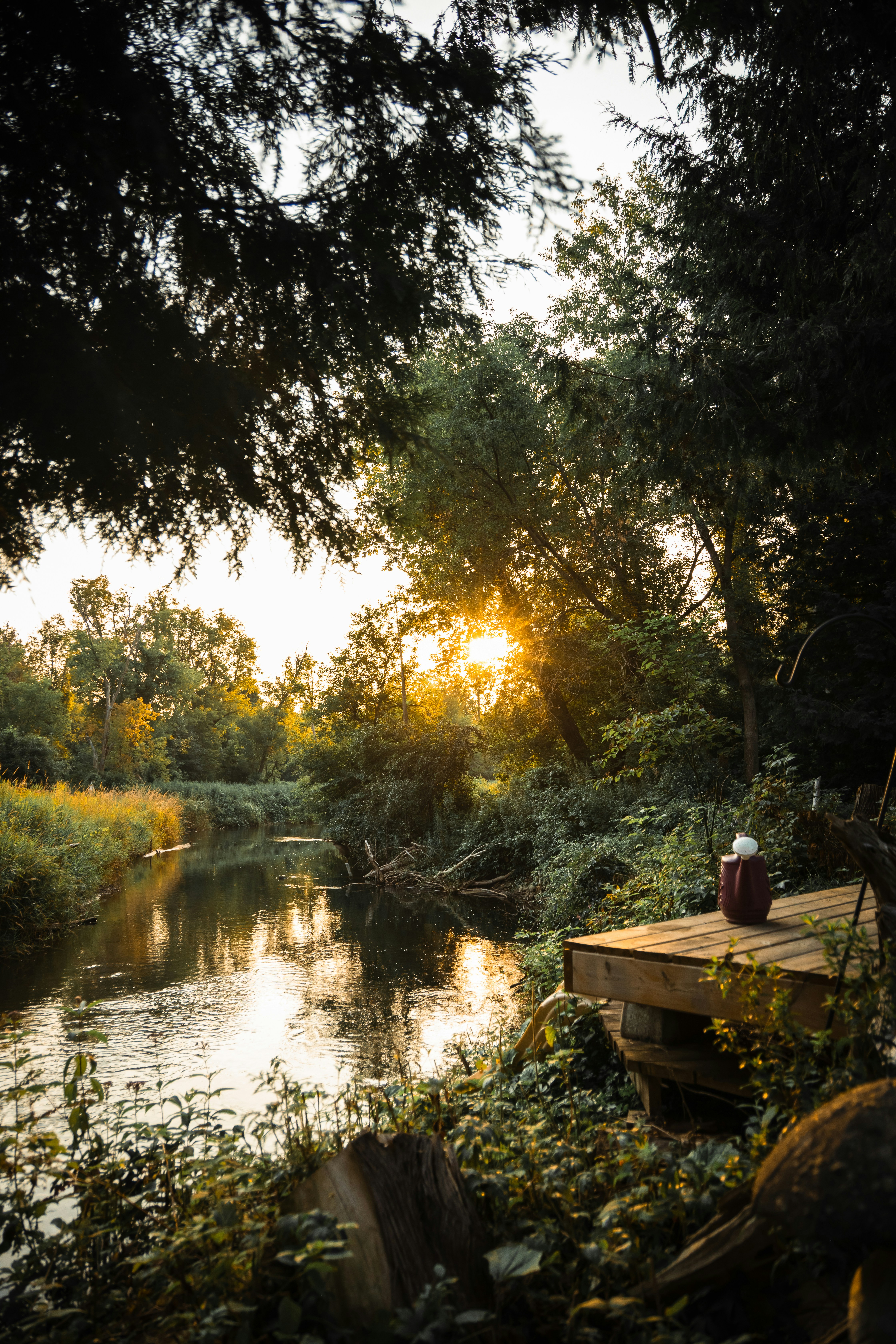 Serenity by the Water's Edge