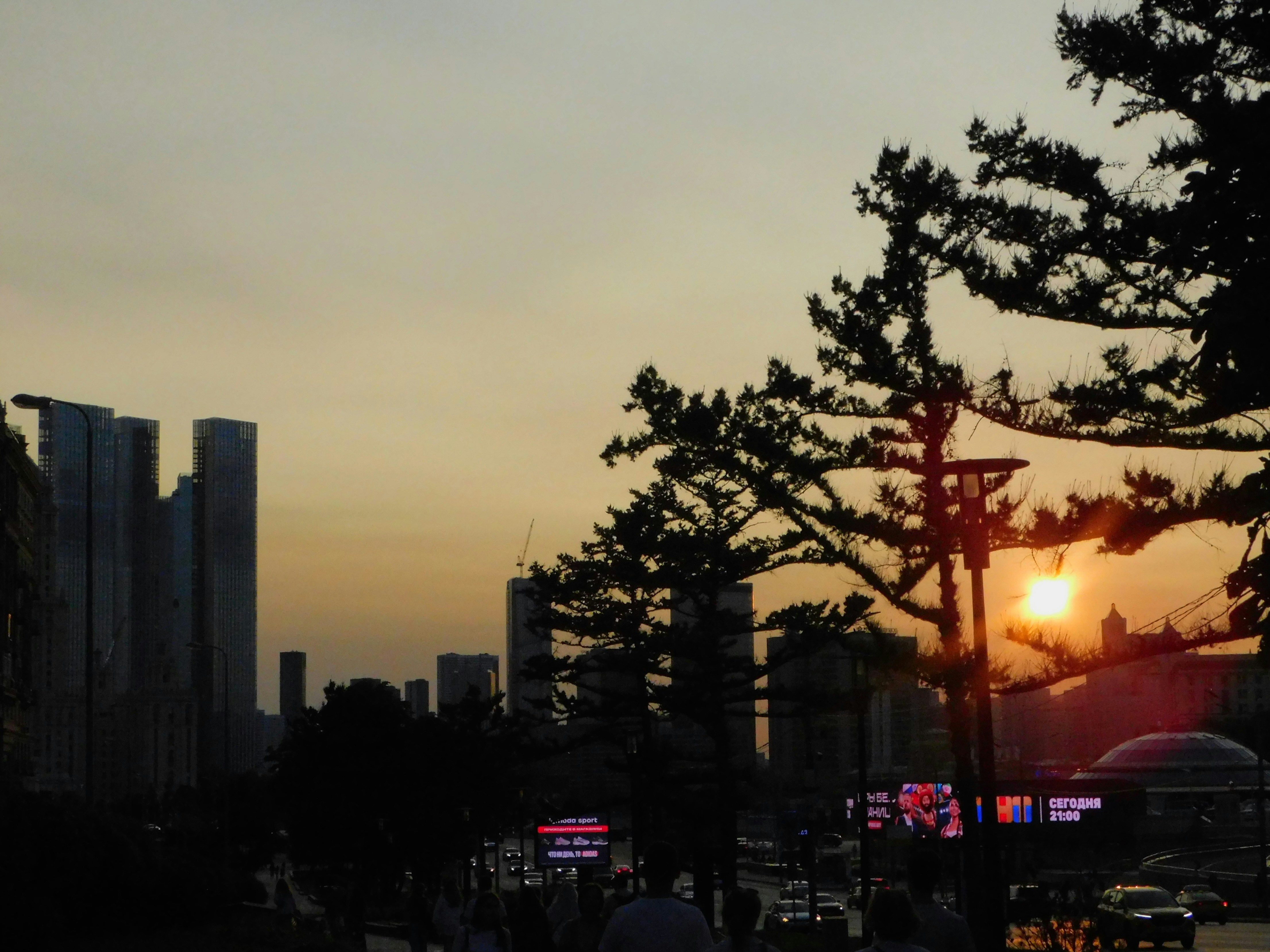 Urban Silhouettes at Dusk