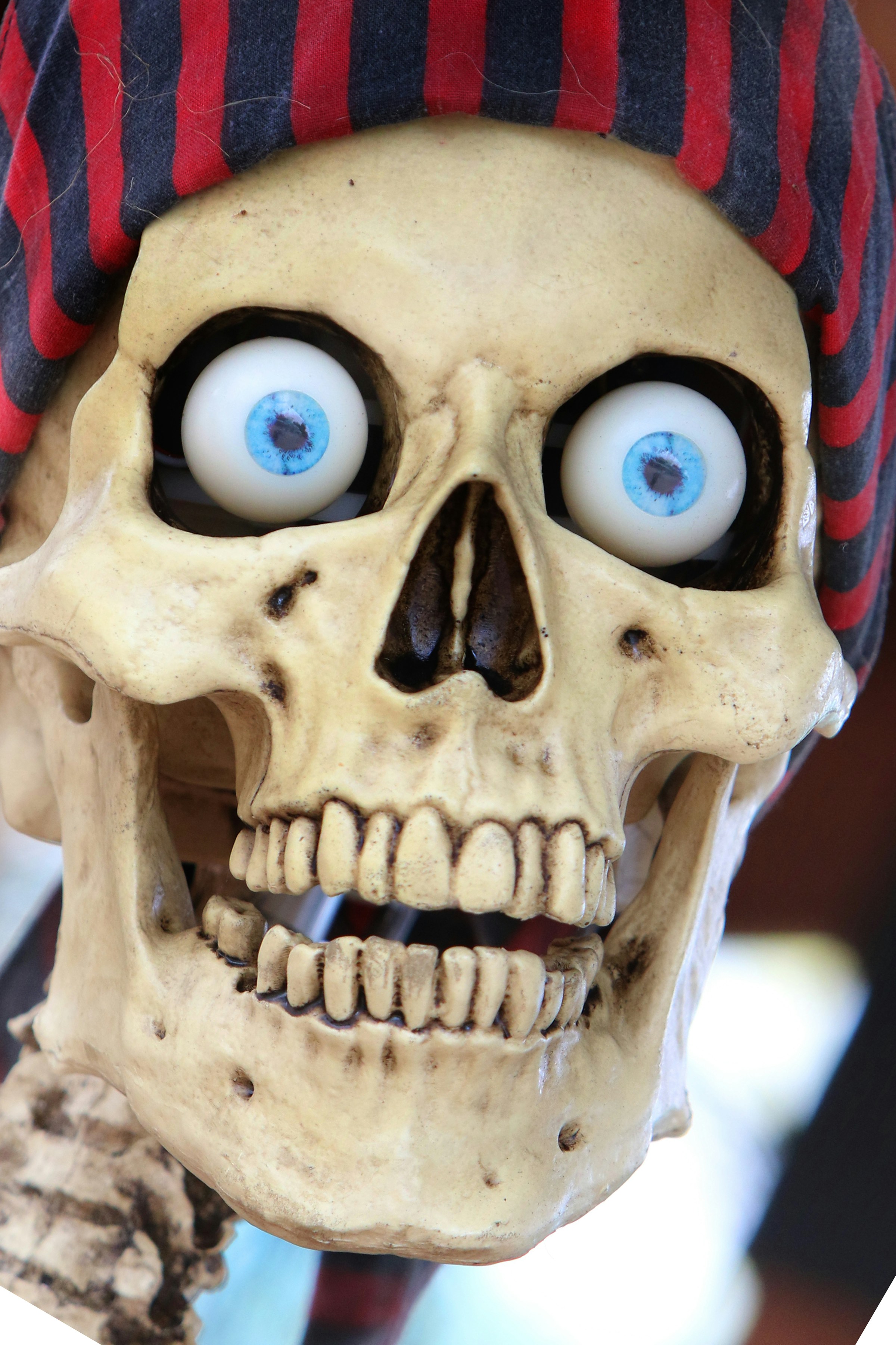 Close-up of a pirate-themed skeleton with striking blue eyes and a striped hat, exuding a playful yet spooky vibe.