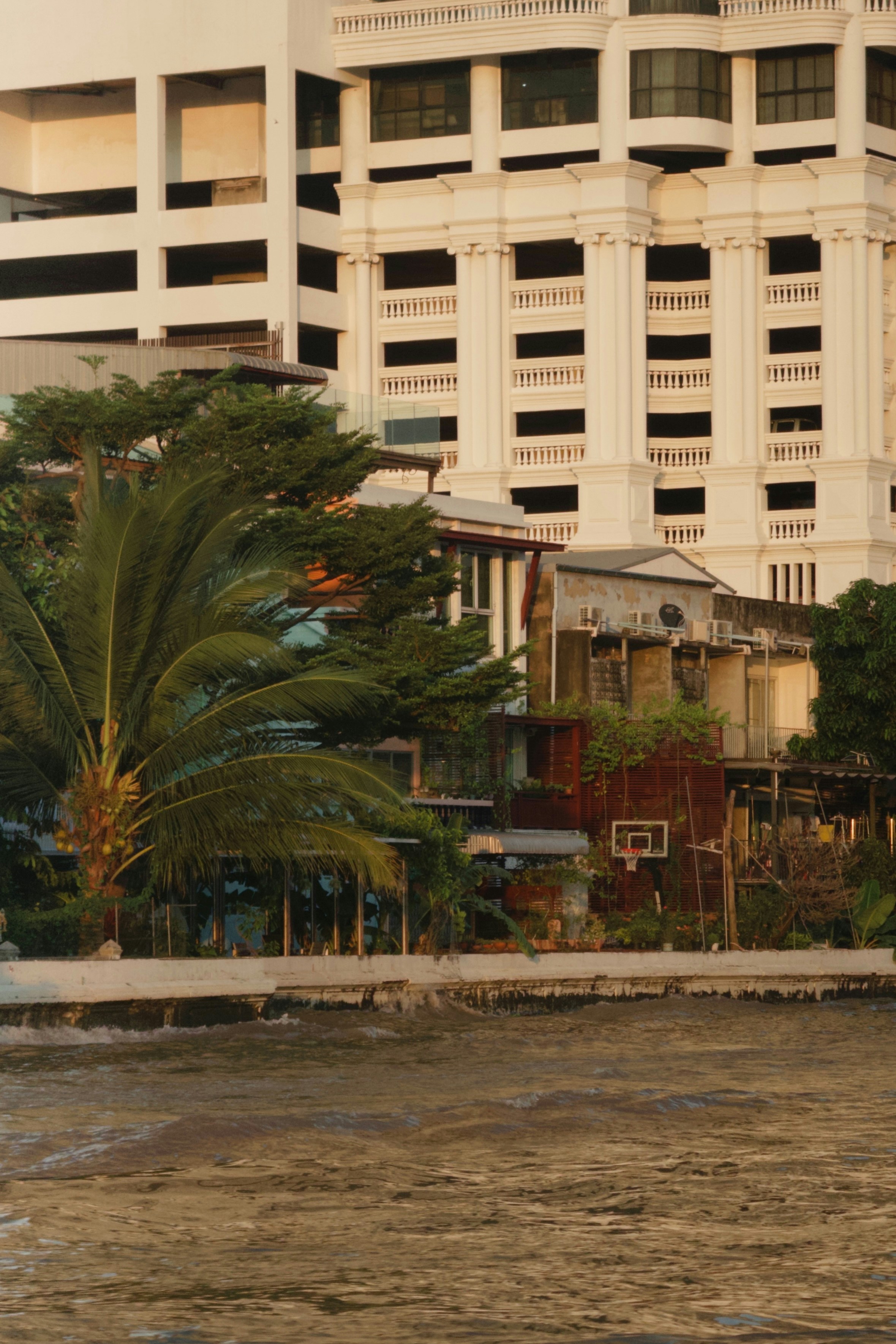 Urban Serenity: Nature Meets Architecture