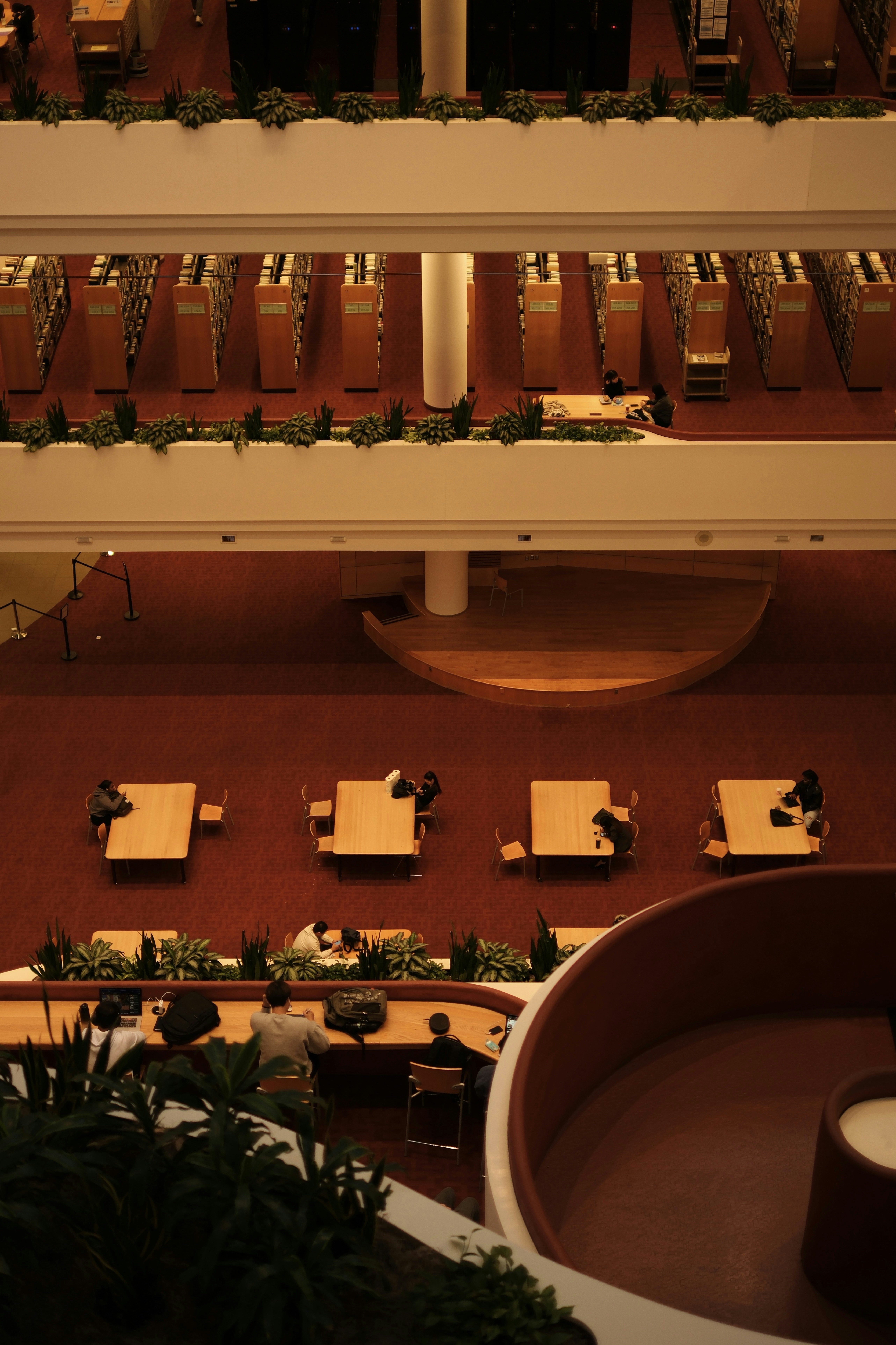 Layers of Knowledge: An Architectural Study in a Modern Library