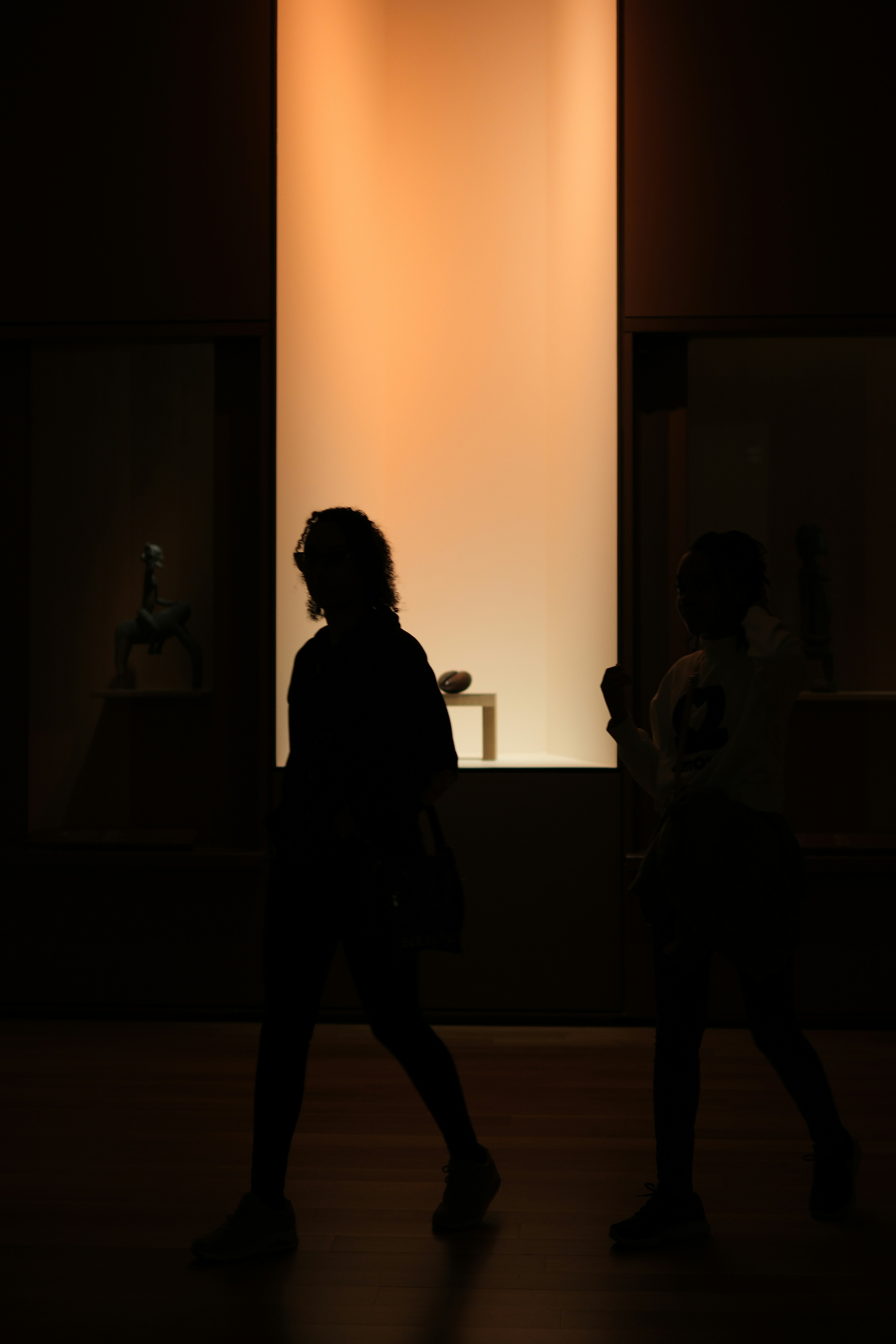 Shadows in the Gallery: A Dance of Silhouettes
