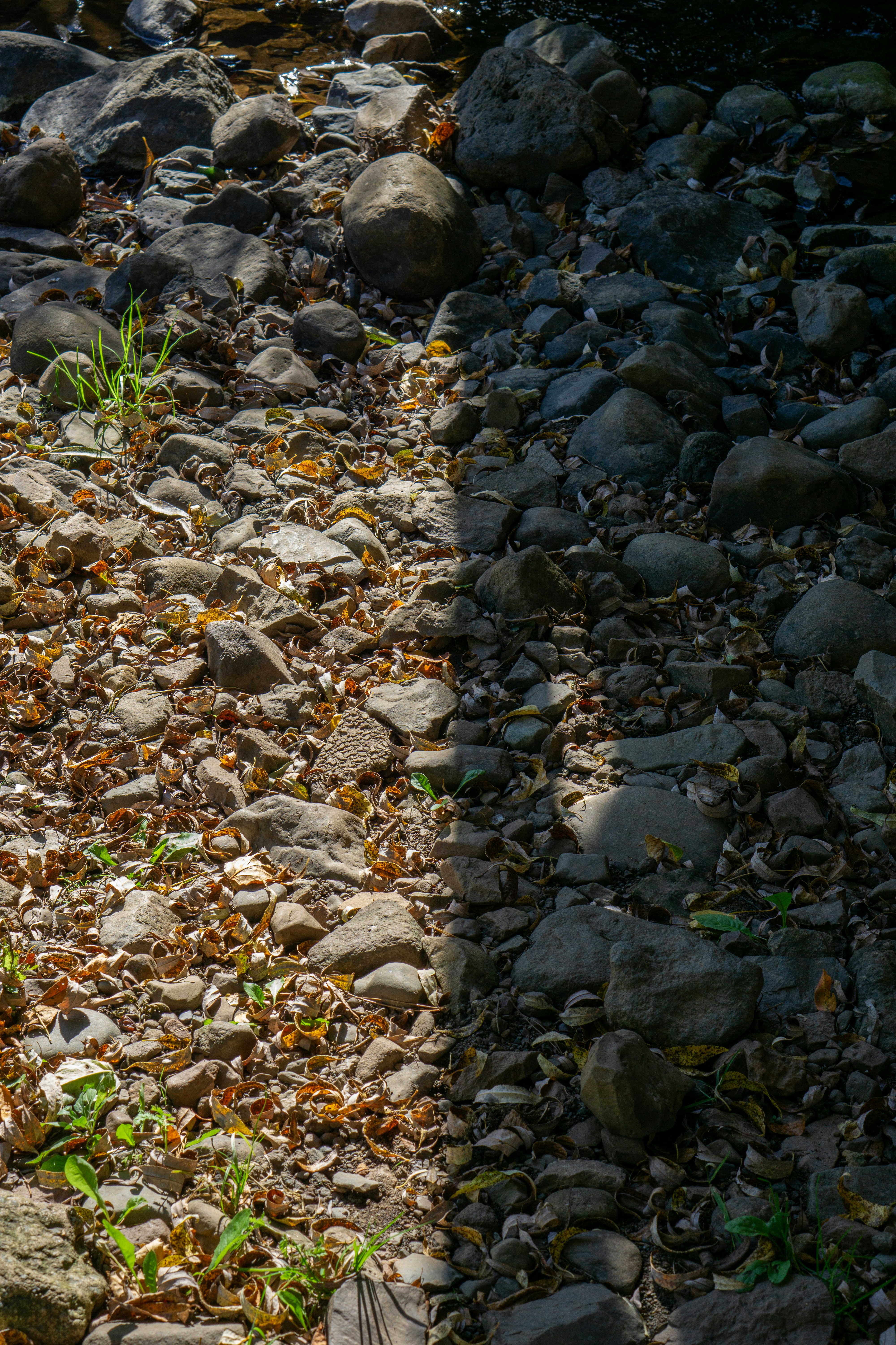 Rocky ground with dappled sunlight and shadows
