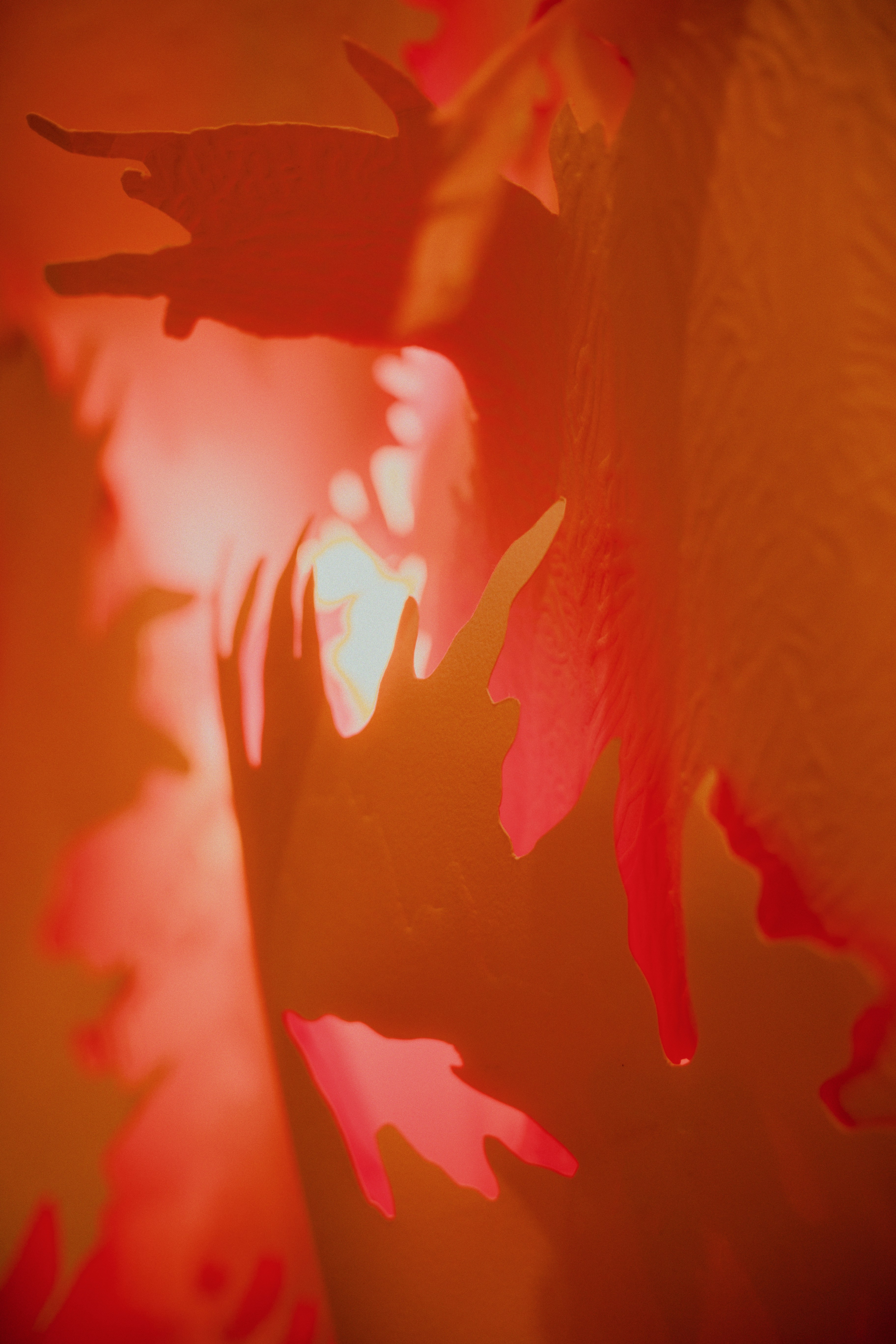 Abstract red and orange light patterns with shadows.