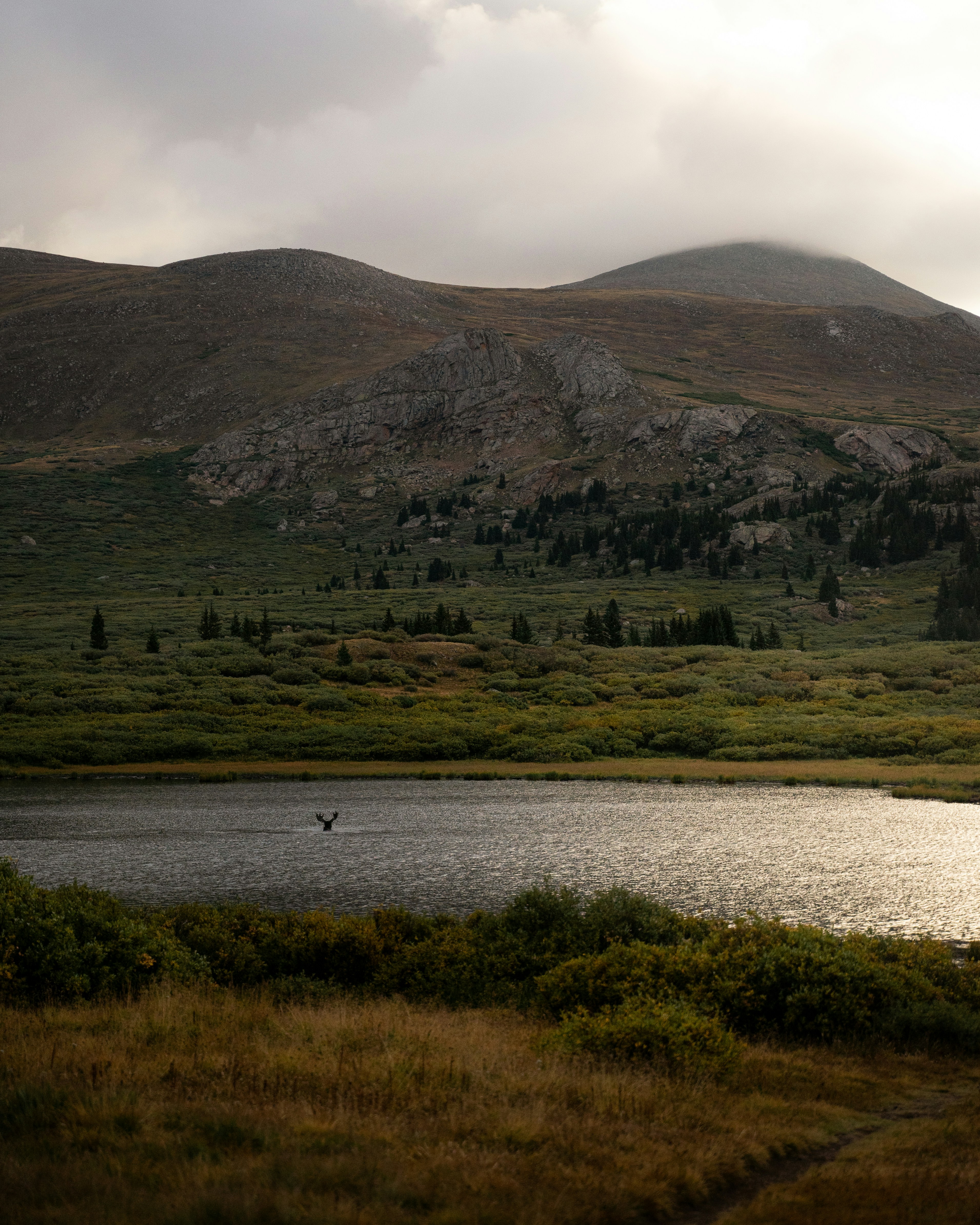Mist-Softened Highlands Over a Quiet Lake with a Lone Bird Skimming the Surface